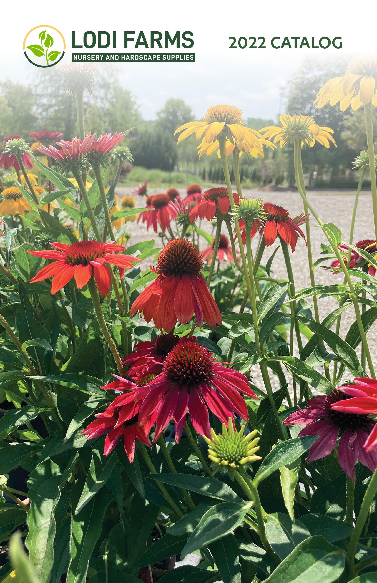 Lodi Farms 2022 Catalog.pdf | DocDroid