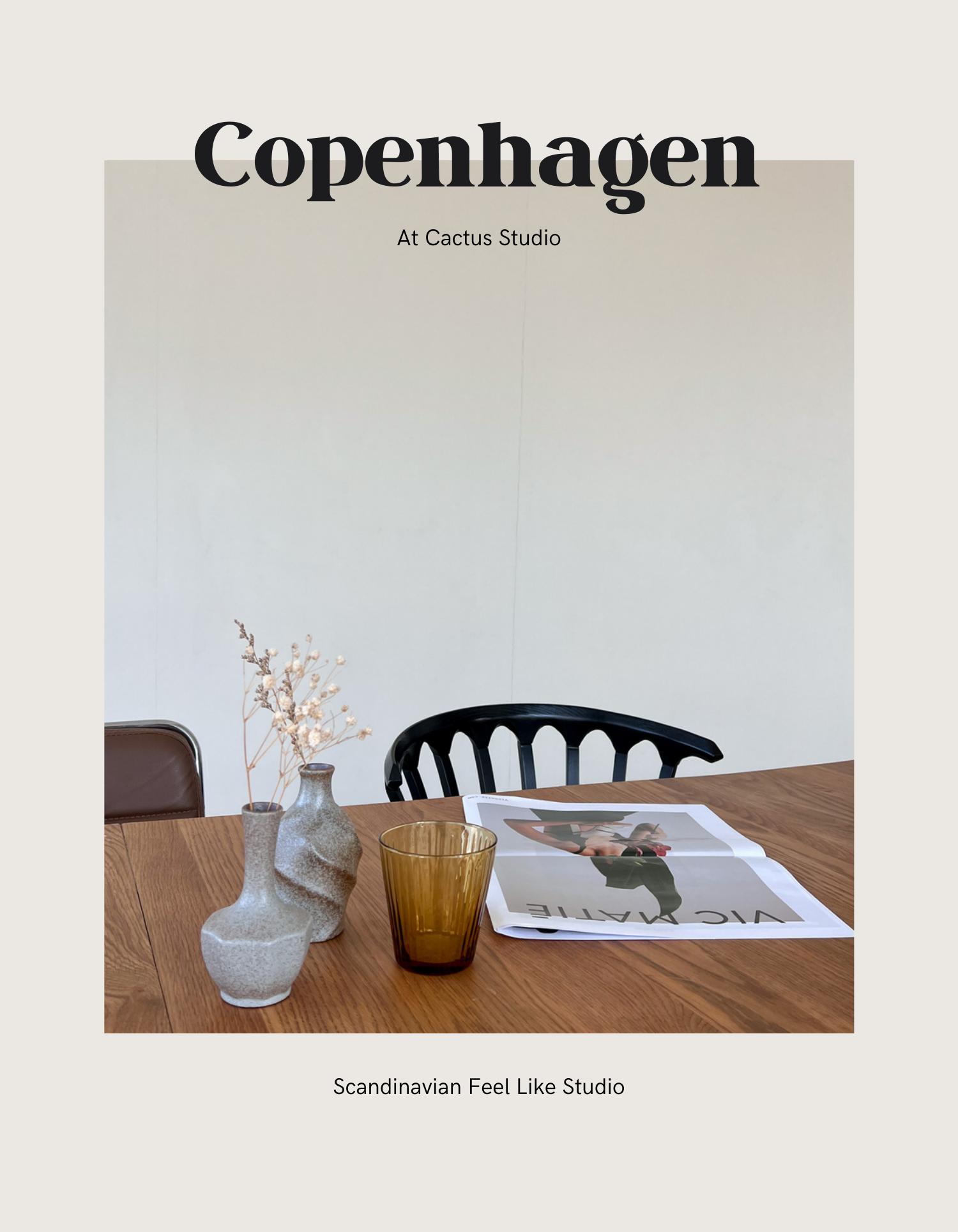 Copenhagen Handbook.pdf | DocDroid