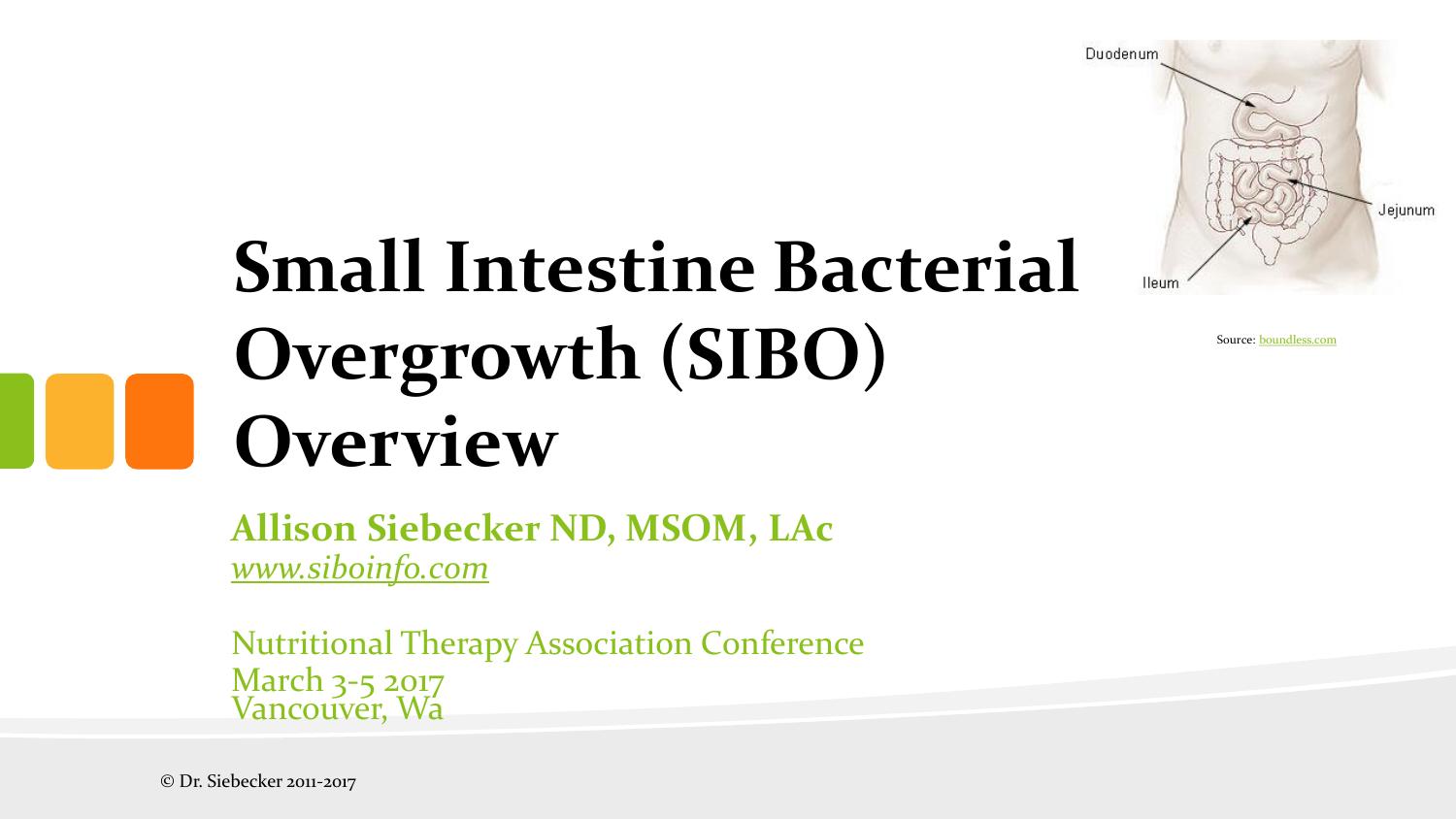 394867096-SIBO-TREATMENT-Overview-Allison-Siebecker.pdf | DocDroid