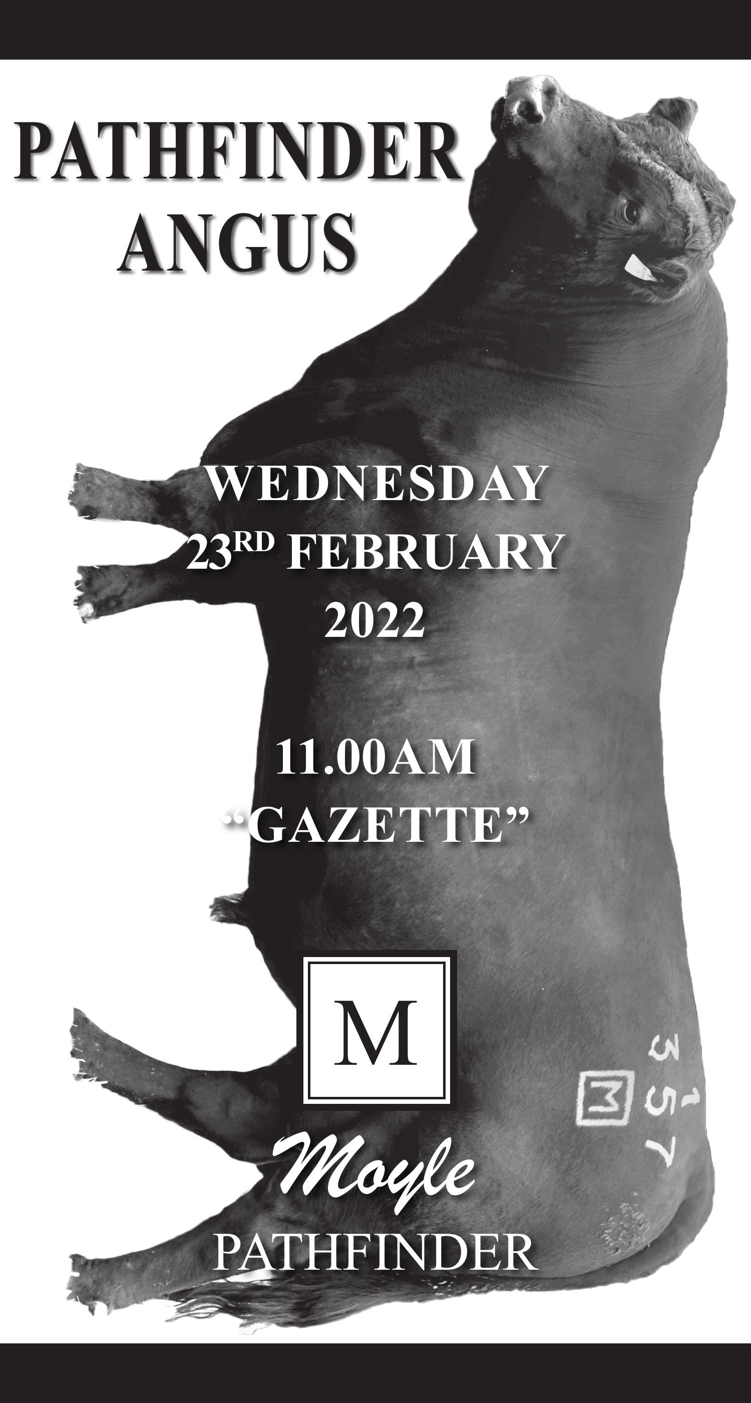 VIC Bull Sale 2022.pdf | DocDroid