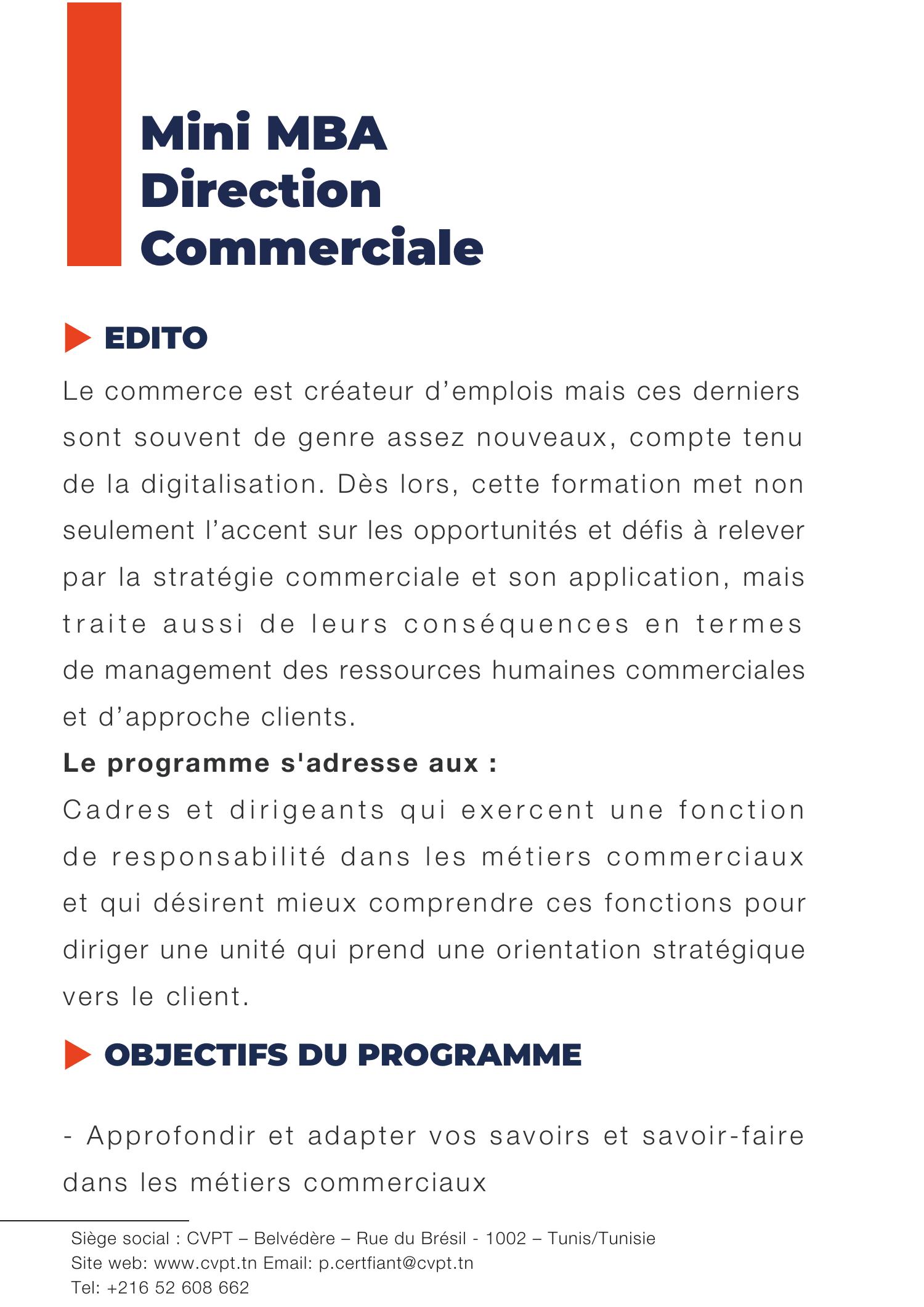 Mini MBA Direction Commerciale.pdf | DocDroid