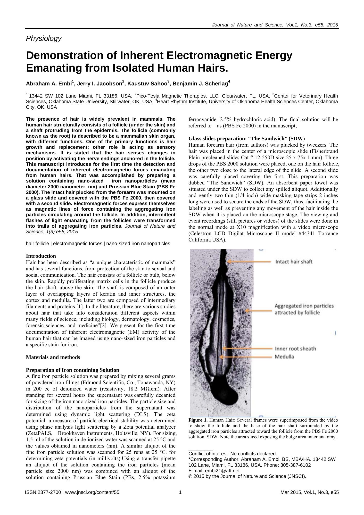 -2015 Demonstration of Inherent Electromagnetic Energy Emanating from ...