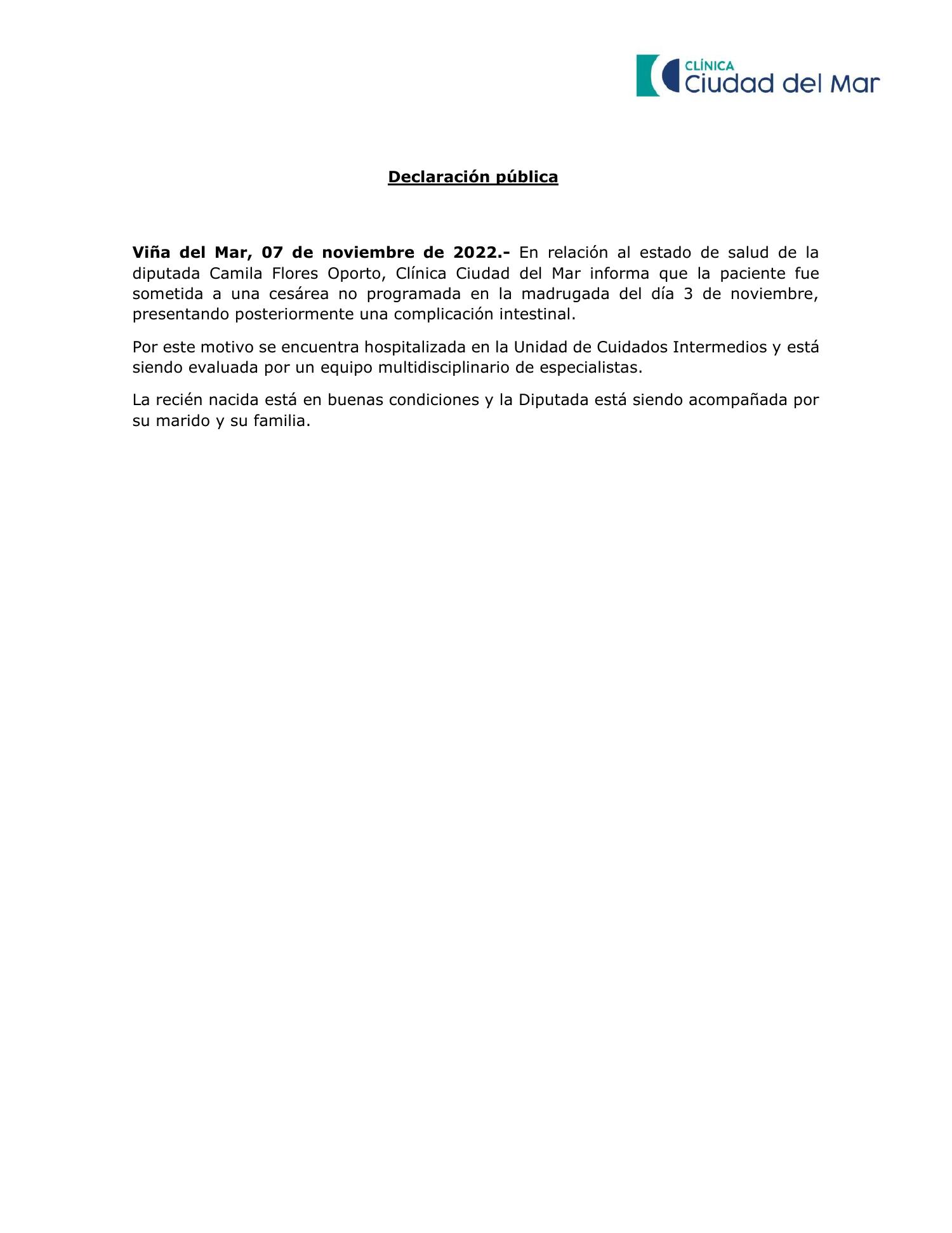 Declaración CCDM - Camila Flores .pdf | DocDroid