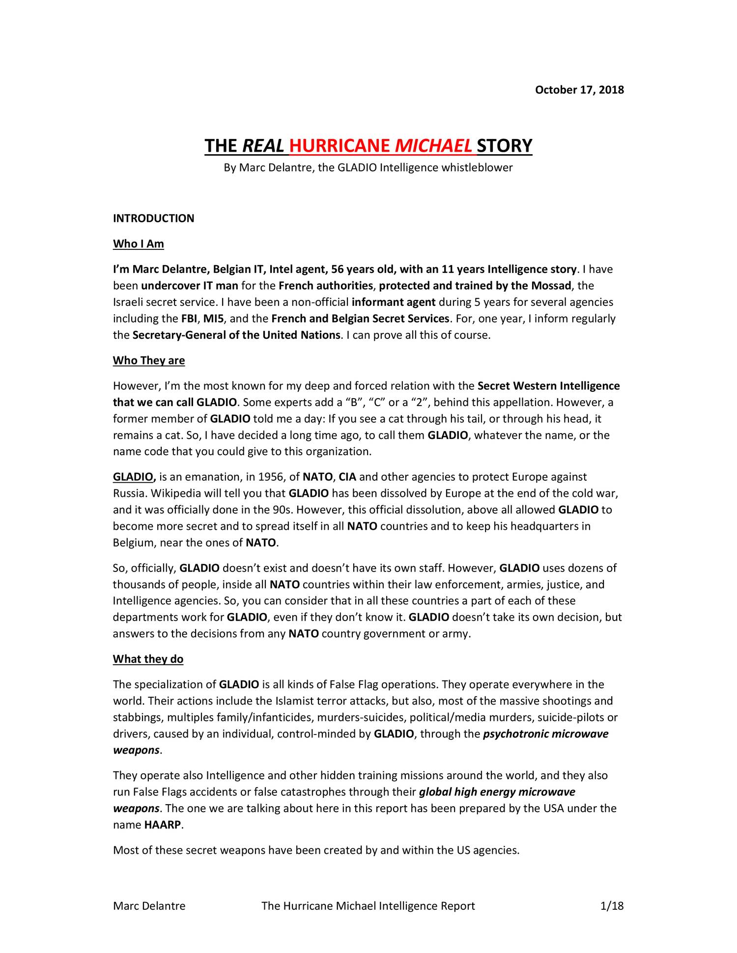 the-hurricane-michael-report.pdf | DocDroid