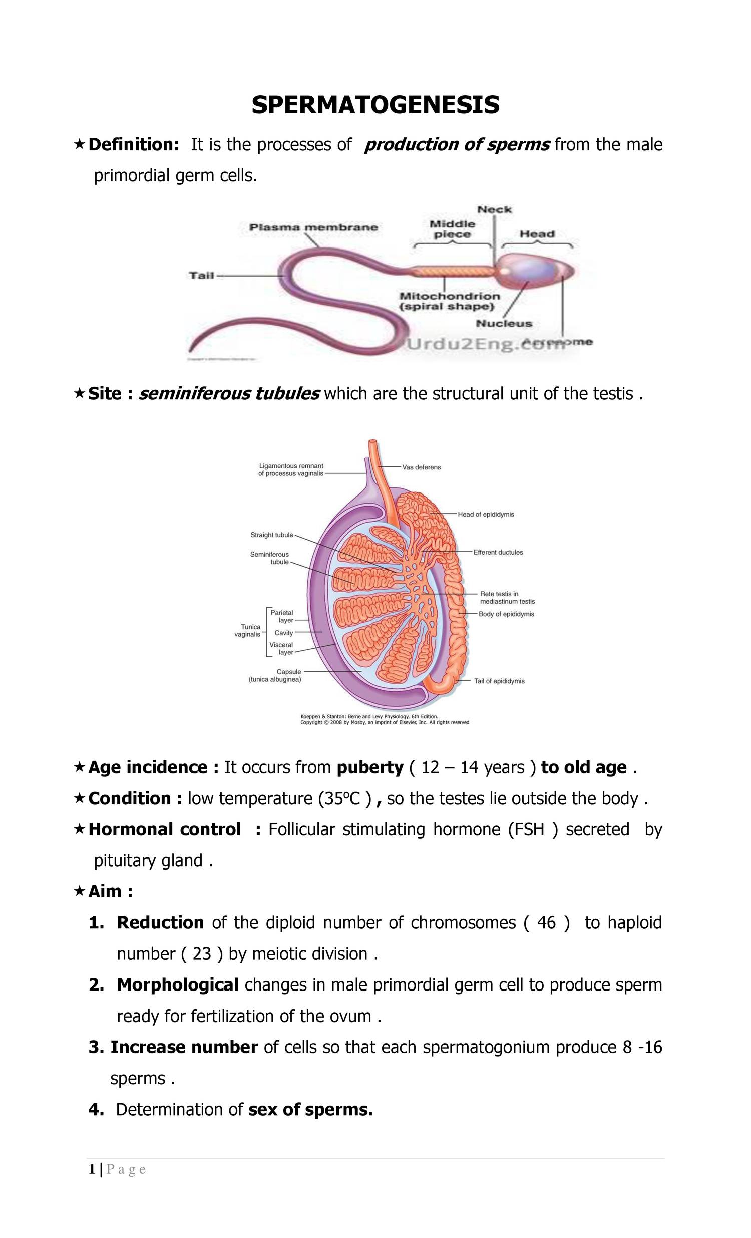 General embryo spermatogenesis.doc | DocDroid