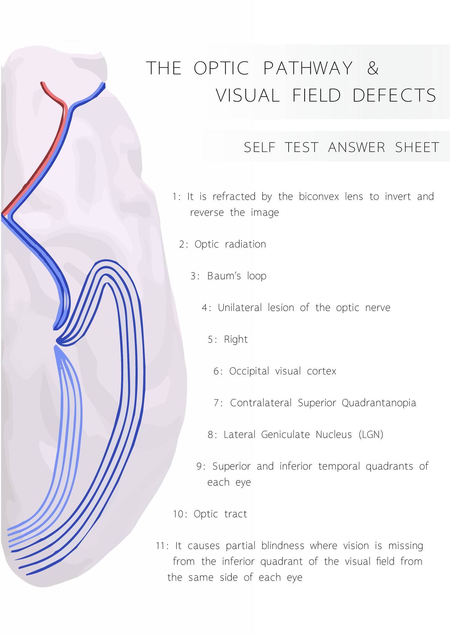 The Optic Pathway & Visual Field Defects Self Test Answer Sheet.pdf ...