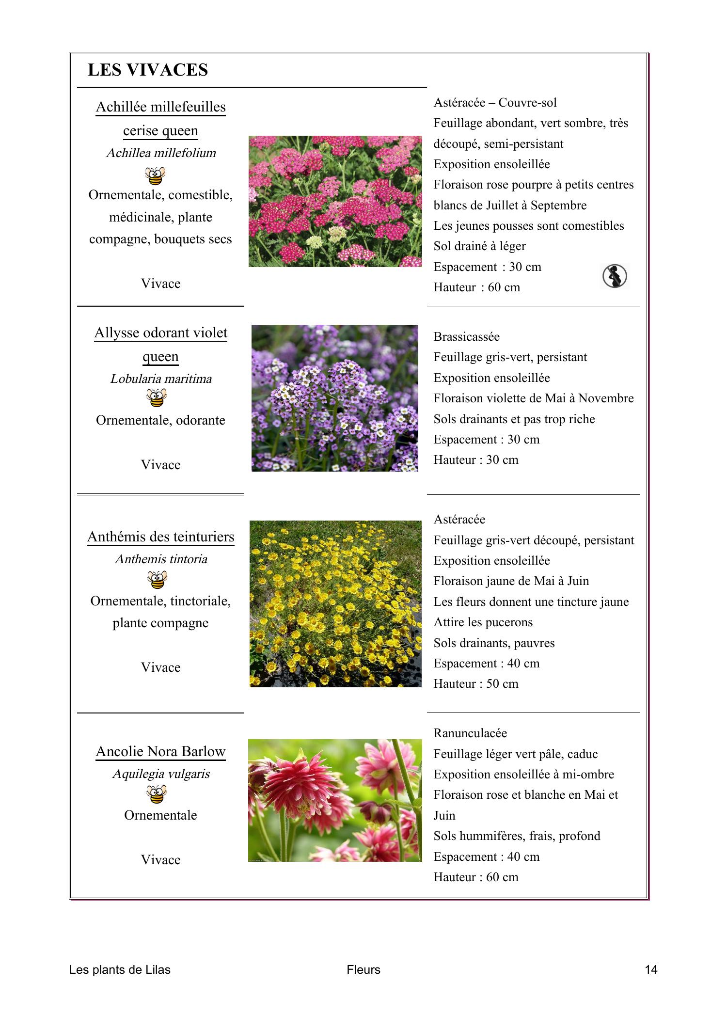 A4 Fleurs.pdf | DocDroid