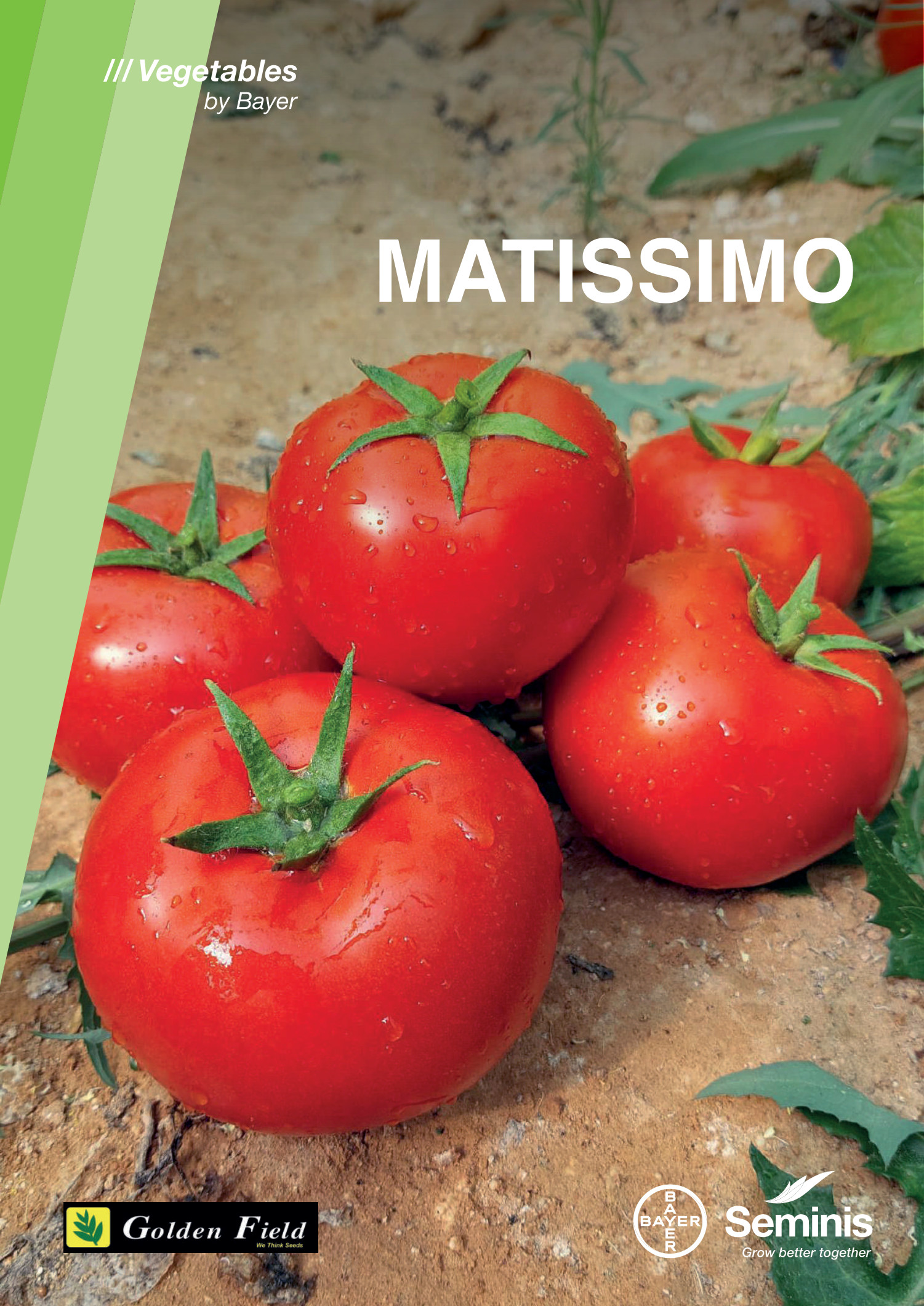 MATISSIMO.pdf | DocDroid