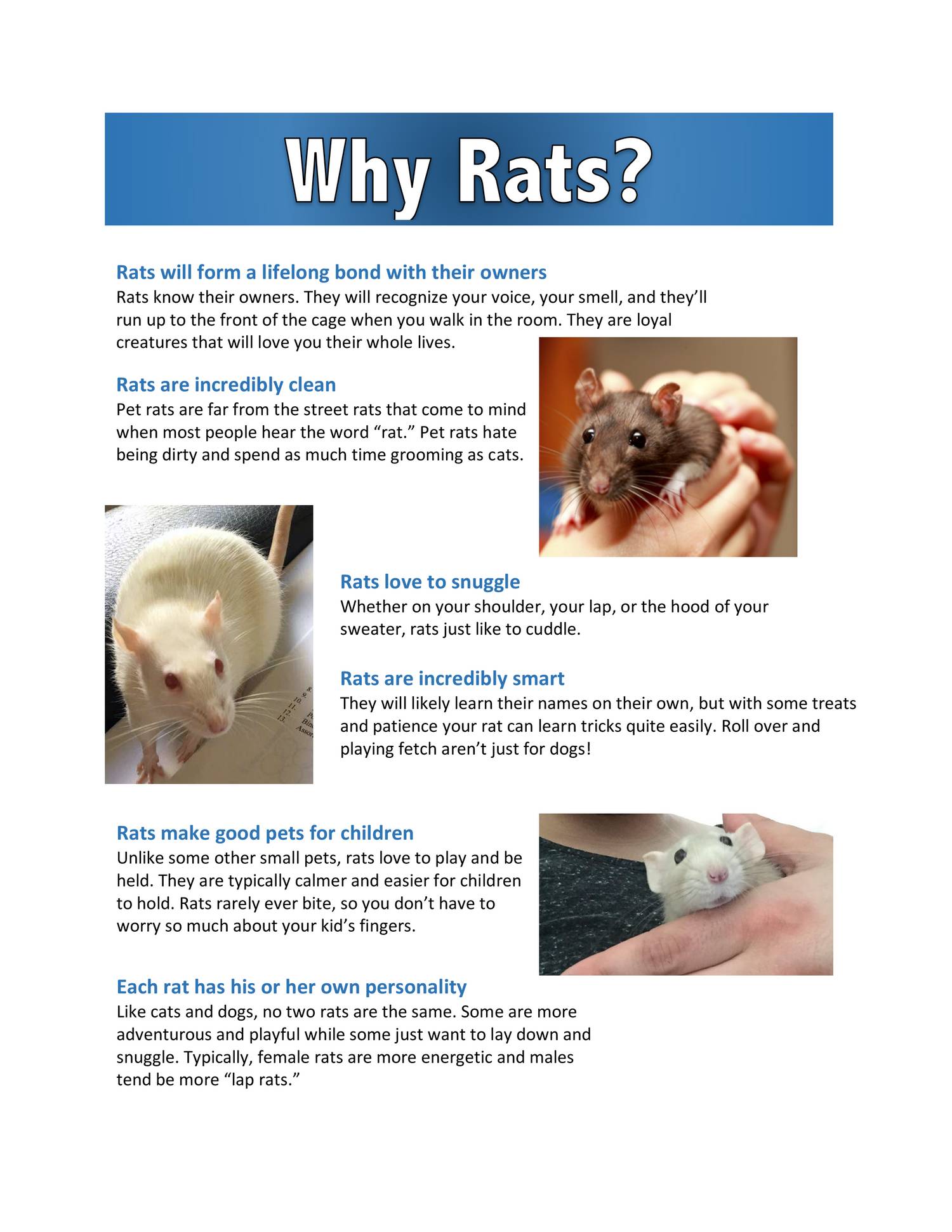why rats.pdf | DocDroid