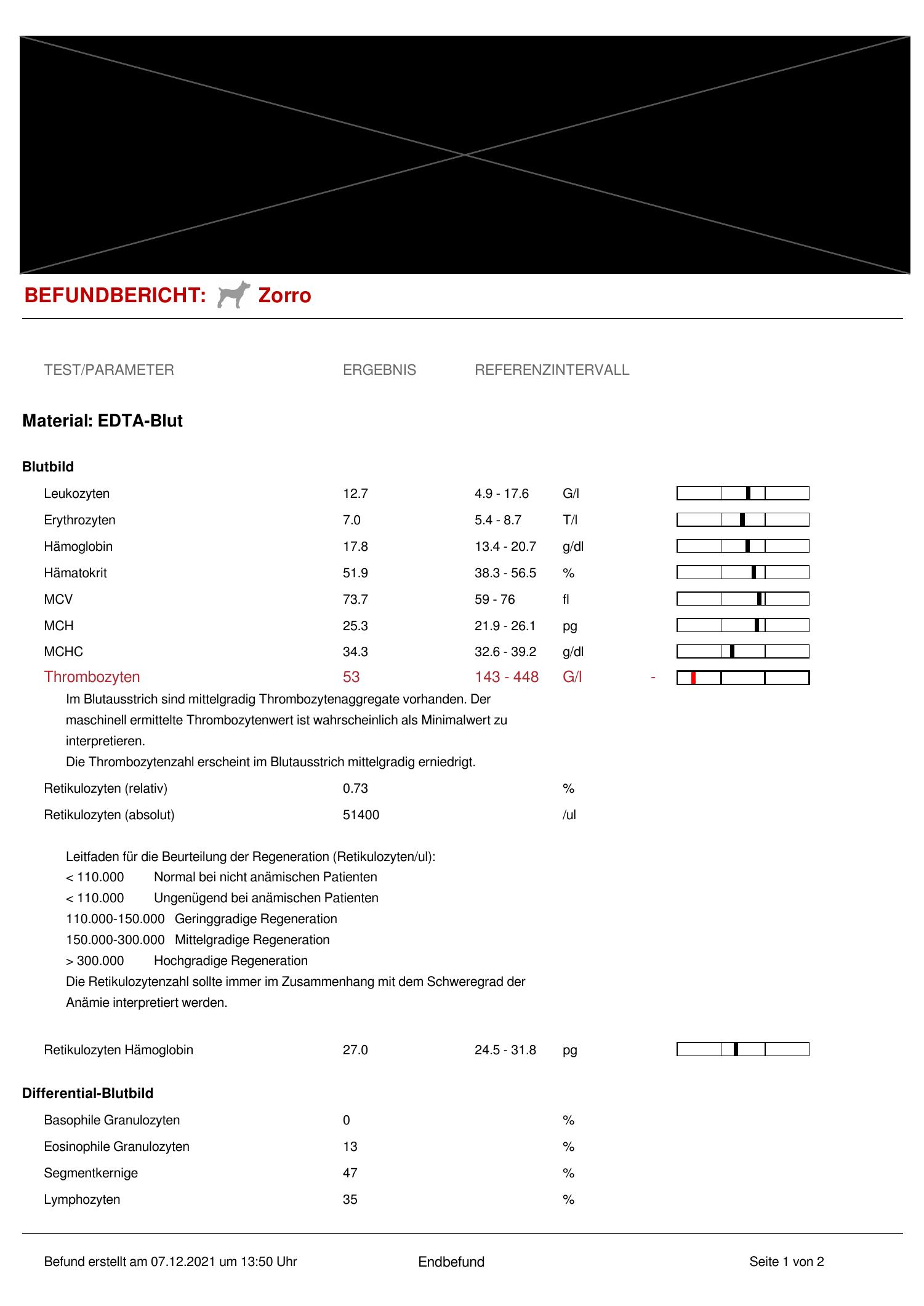 Befund 07.12 Kopie.pdf | DocDroid