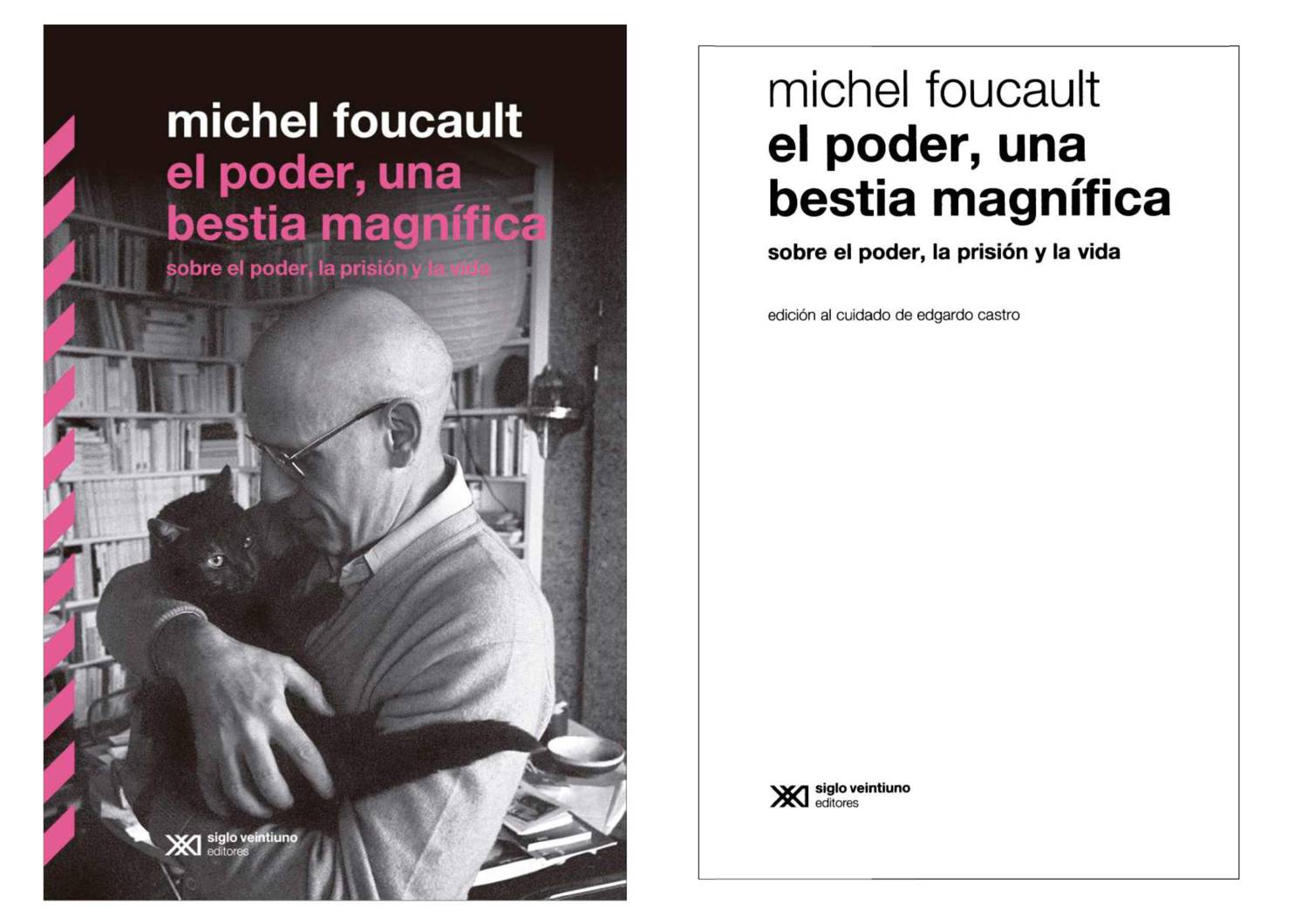 Foucault Poder E Saber - FDPLEARN