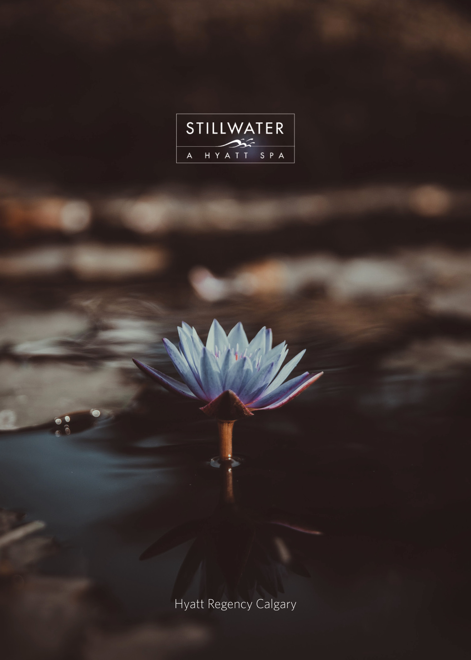 Stillwater Spa Brochure.pdf | DocDroid