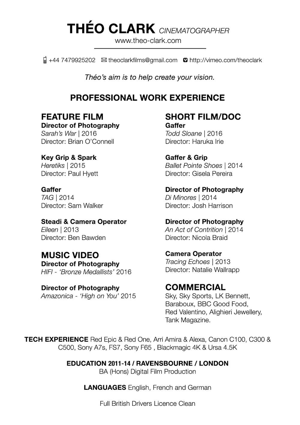 Theo Clark CV_2017.pdf | DocDroid