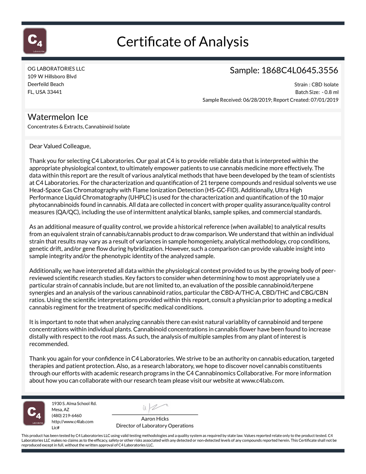 Watermelon ice REPORT.pdf | DocDroid