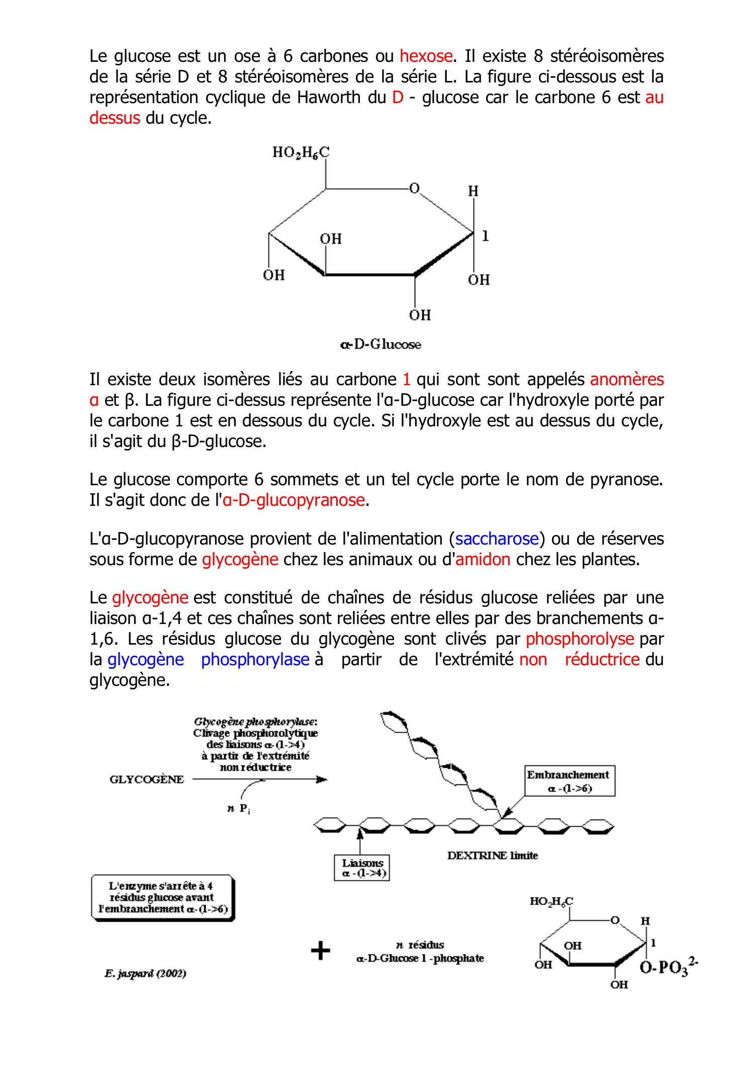 Anomérie des glucides.pdf | DocDroid