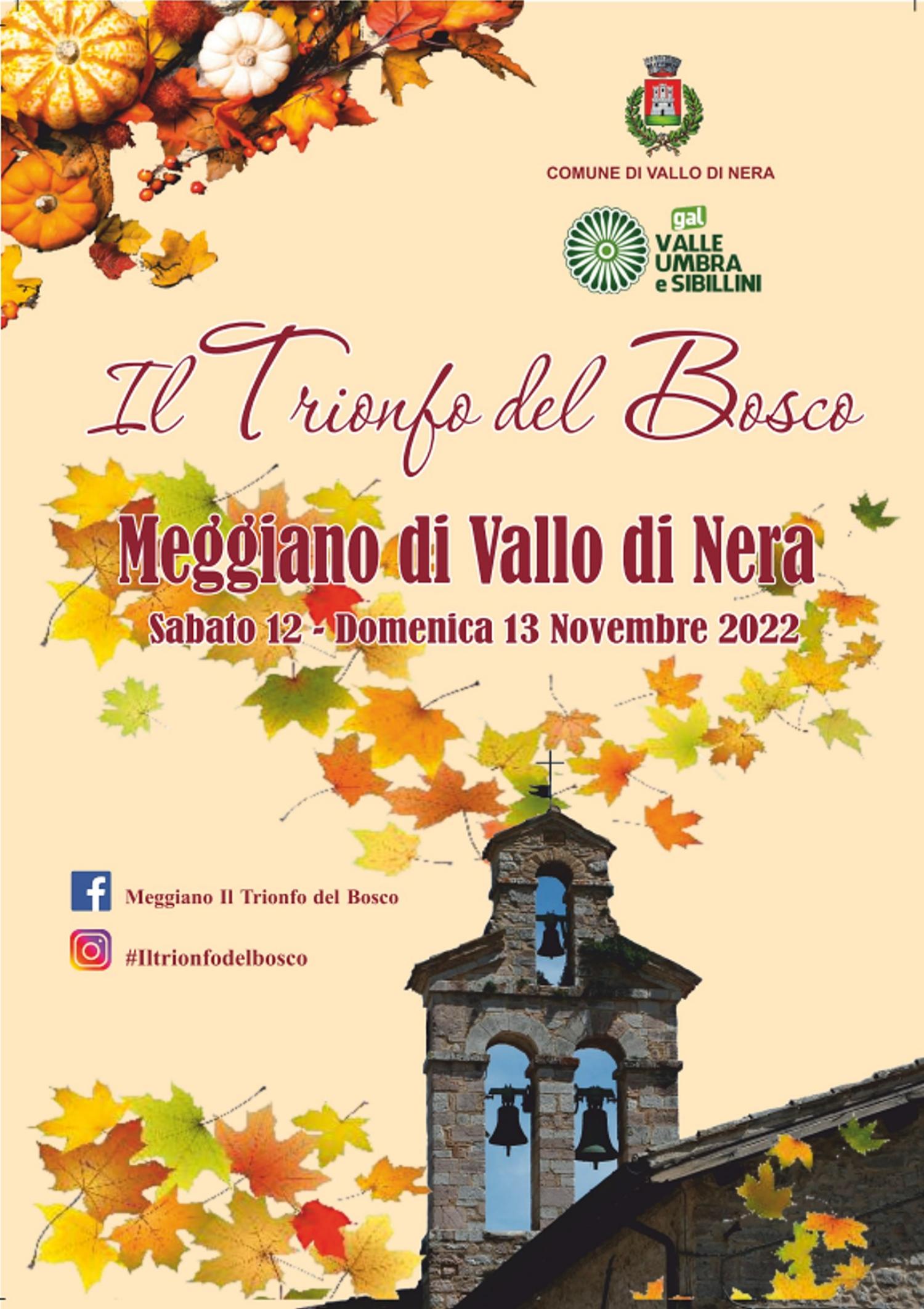 Programma.pdf | DocDroid