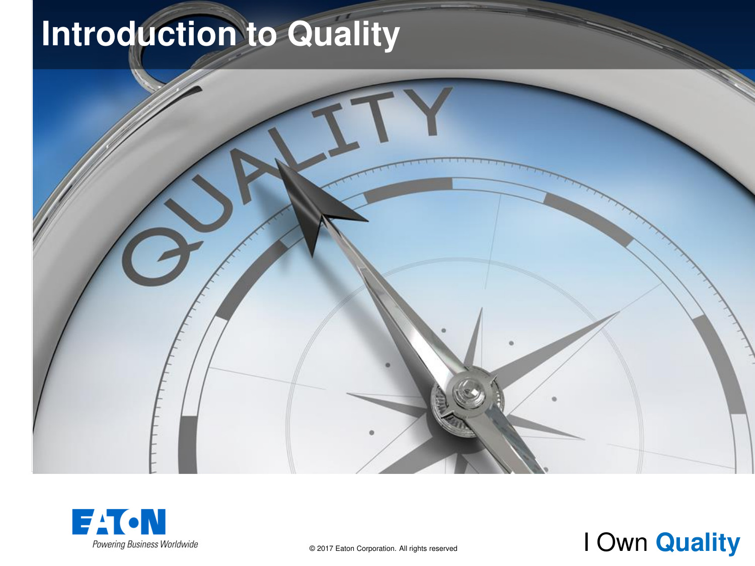 Introduction to Quality - Large Group Training - English.pdf | DocDroid