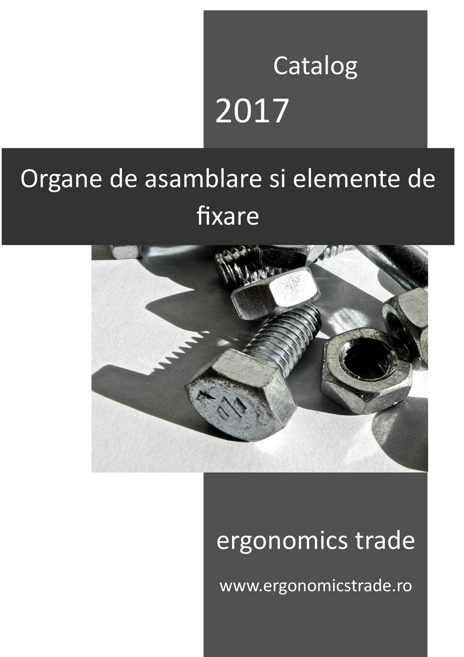 Catalog organe de asamblare si elemente de fixare.pdf | DocDroid