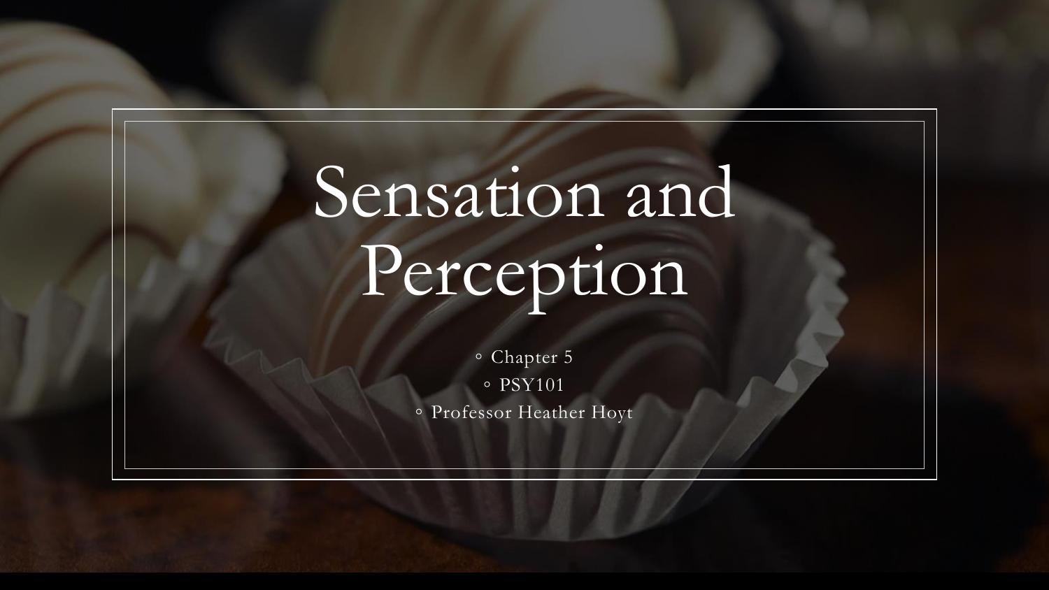 Chapter 5 Power Point Lecture - PSY101 - Sensation and Perception (1 ...