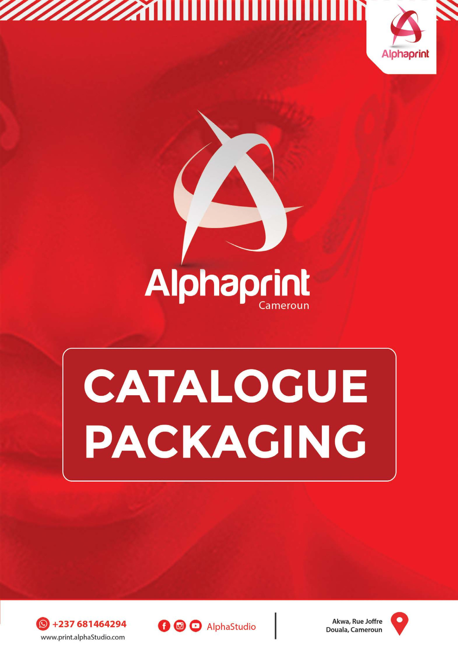 CATALOGUE PACKAGING.pdf | DocDroid