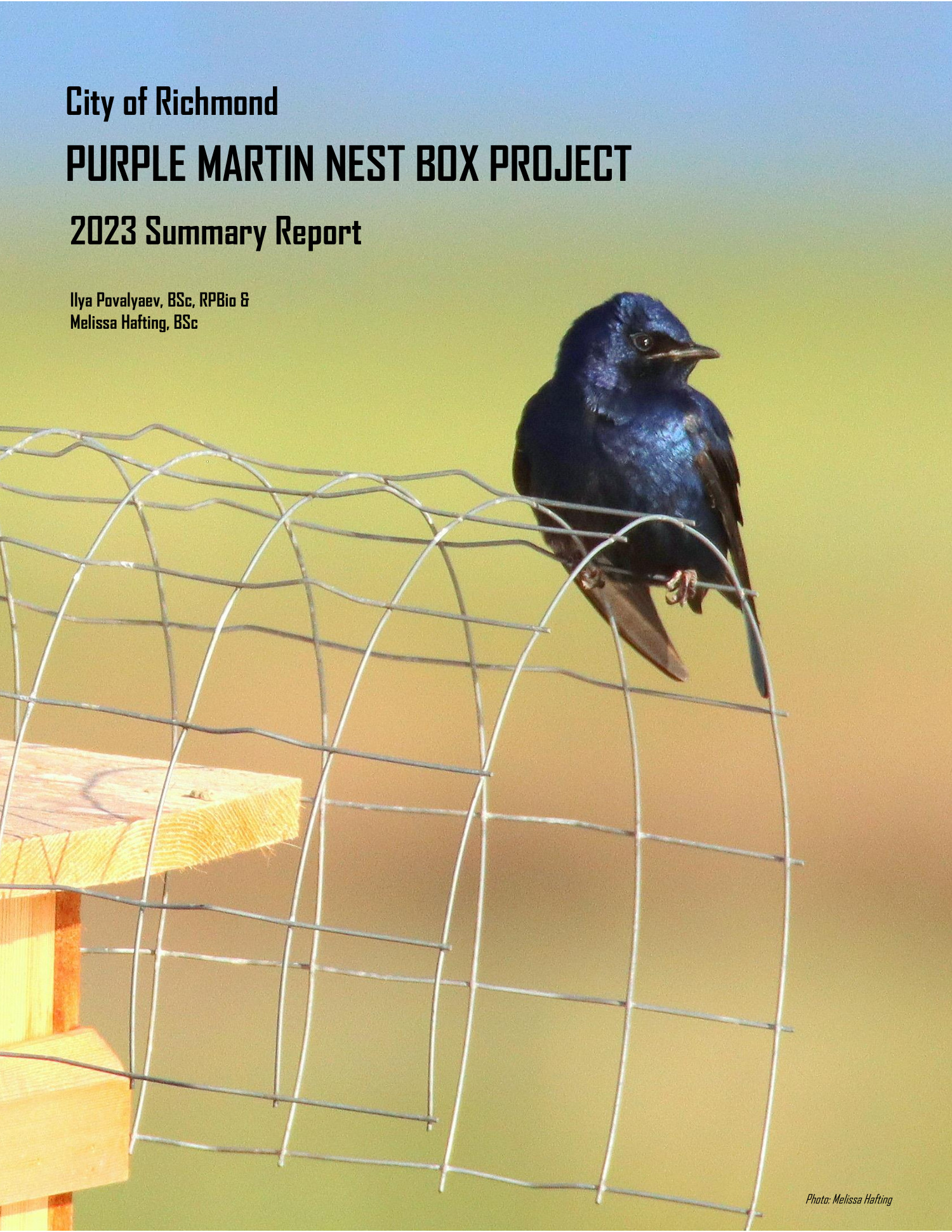 Purple Martin 2023 Report.pdf | DocDroid