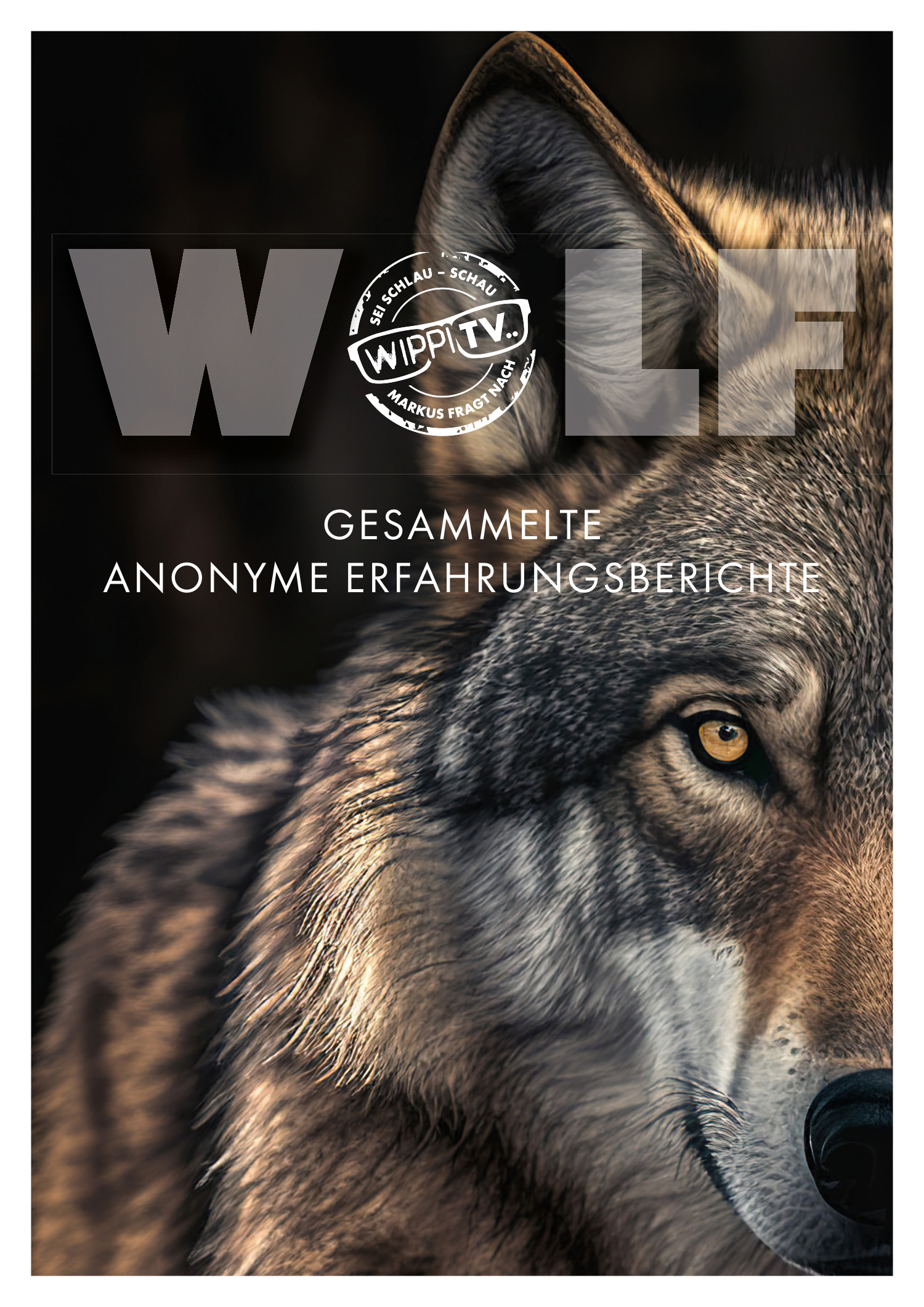 WippiTV_WOLF Berichte_26112023.pdf | DocDroid