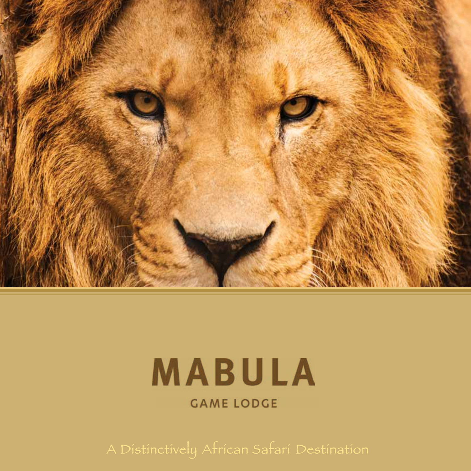 Mabula Game Lodge Brochure.pdf | DocDroid