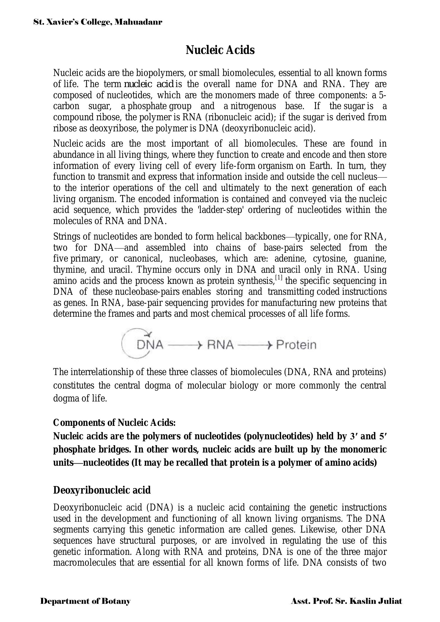 Nucleic Acids.pdf | DocDroid