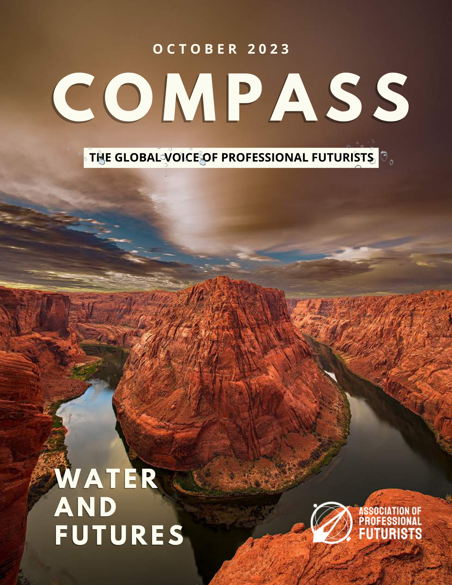 Article Dr. Seren Dalkiran, COMPASS October 2023 .pdf | DocDroid