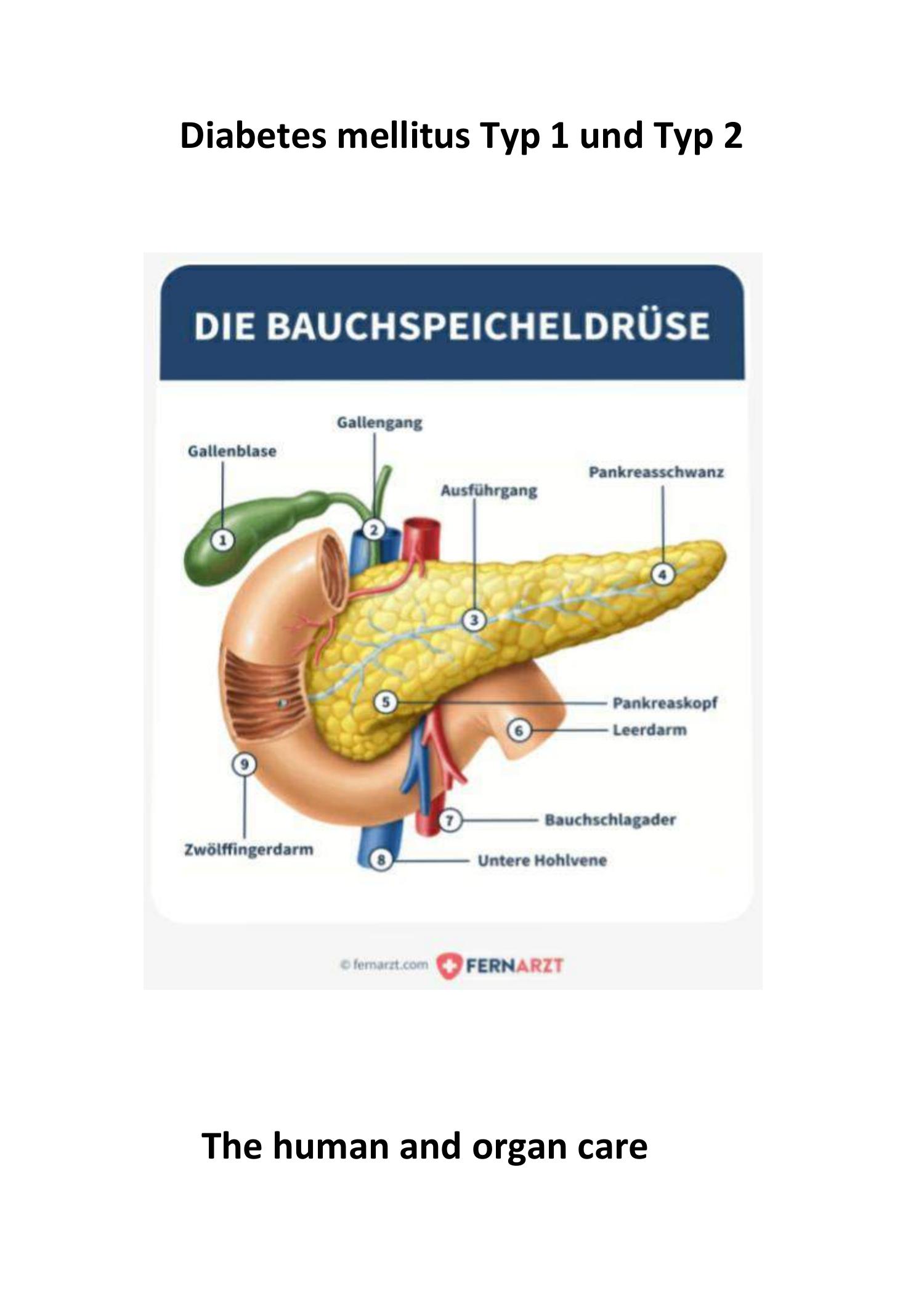 Diabetes m. Typ 1 und Typ 2.pdf | DocDroid