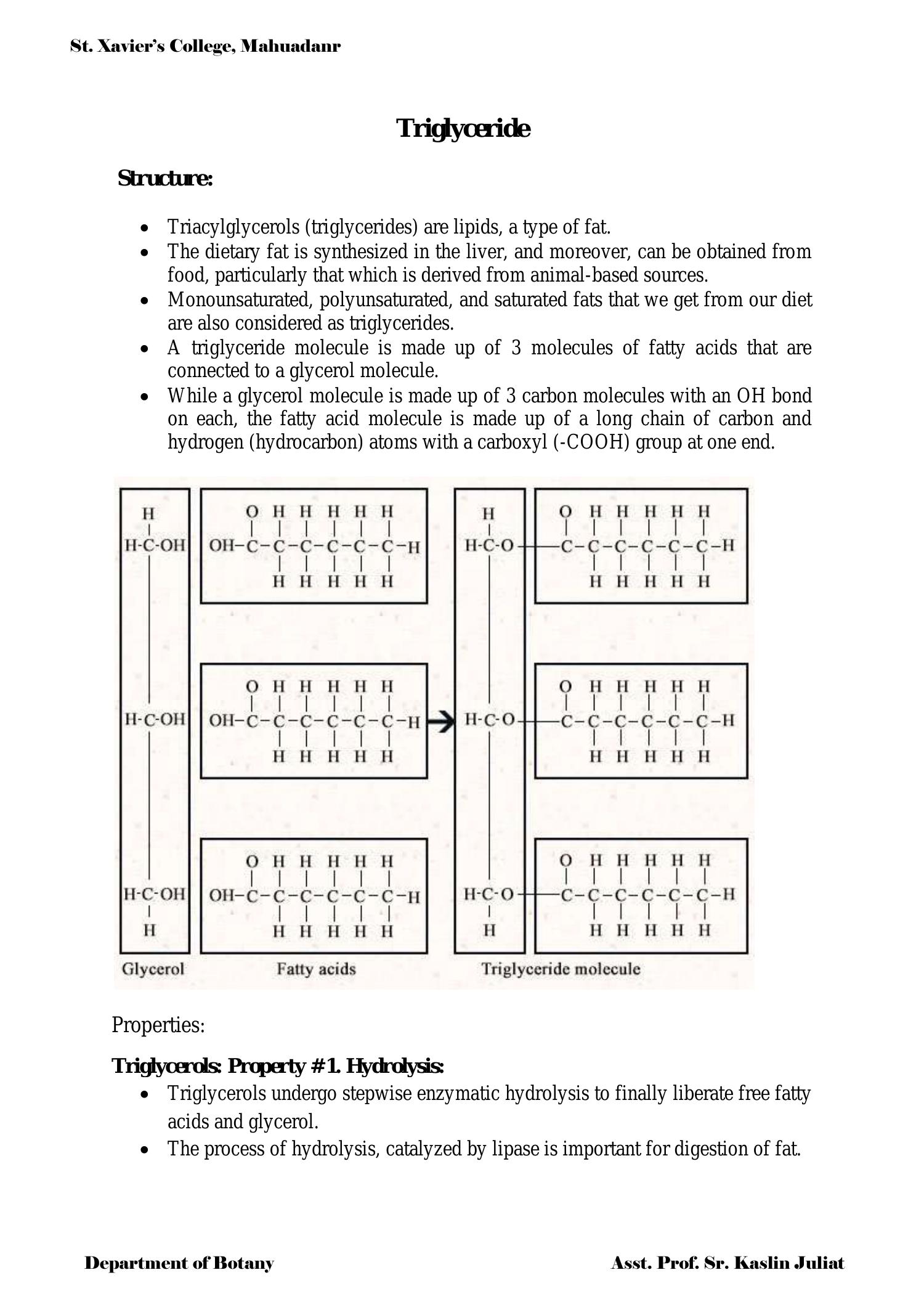 PDF le nom du triglyceride PDF Télécharger Download