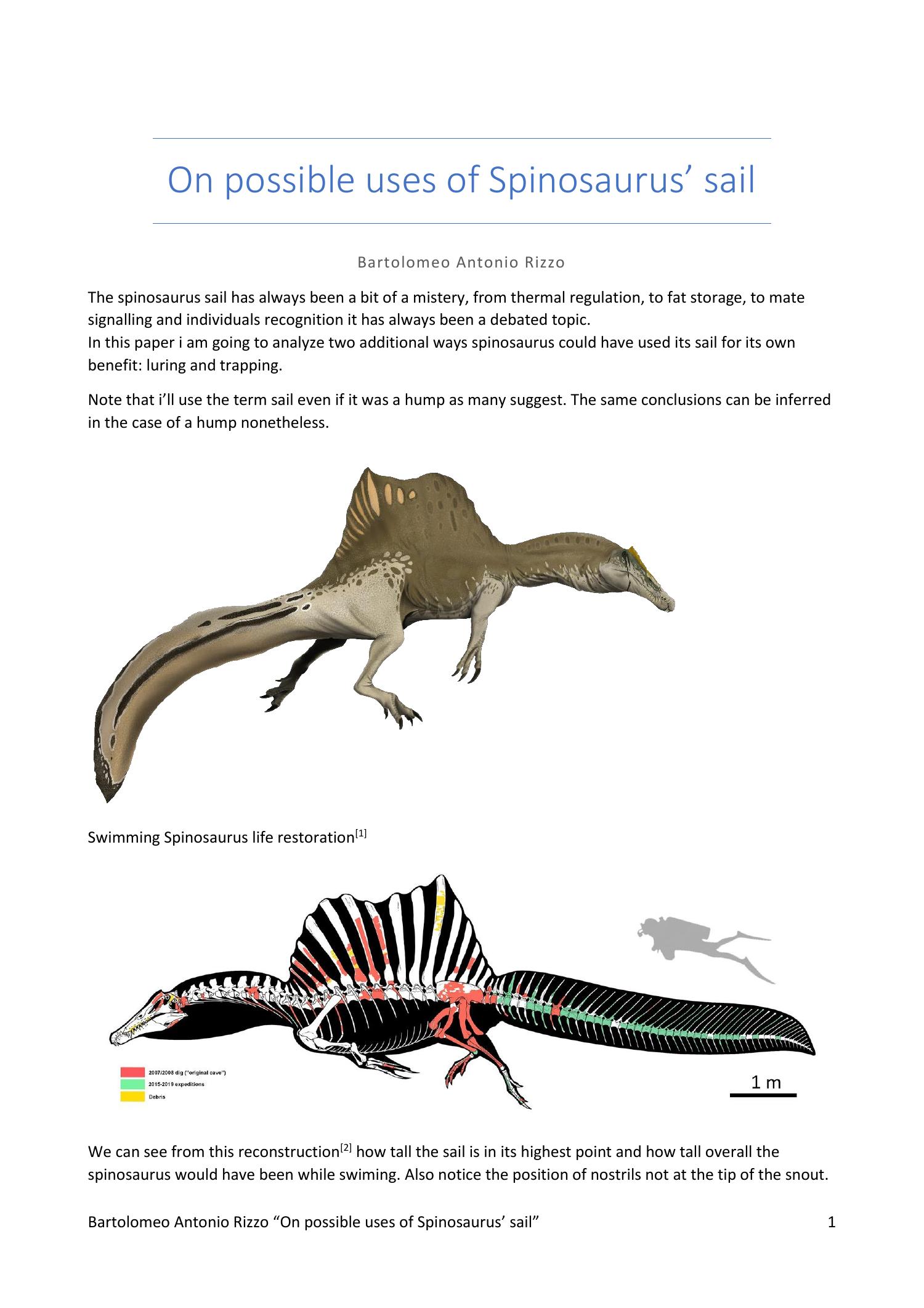 On possible uses of Spinosaurus sail.pdf | DocDroid