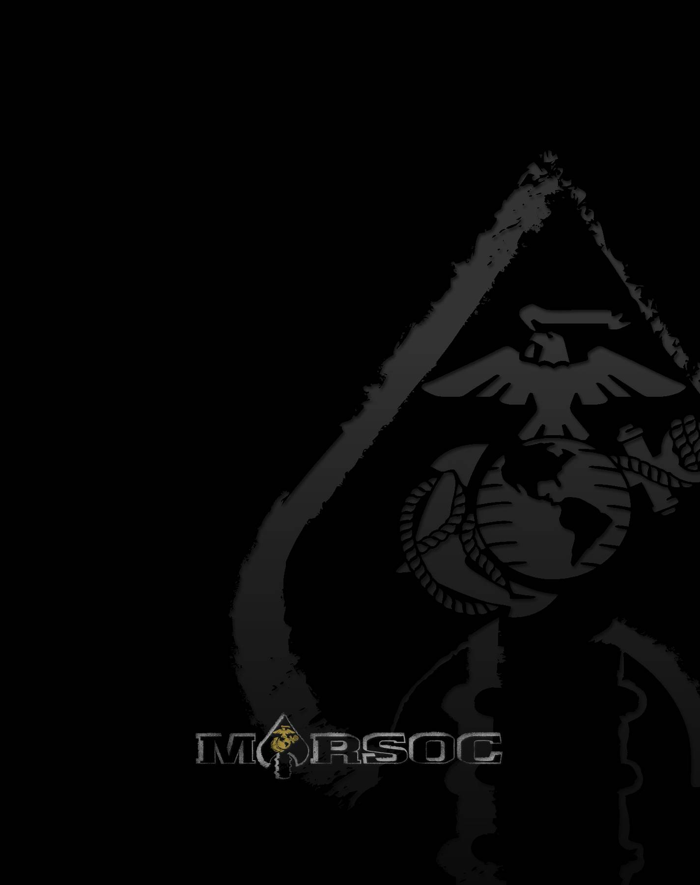 250041361-Marsoc-Training-Guide-2014.pdf | DocDroid