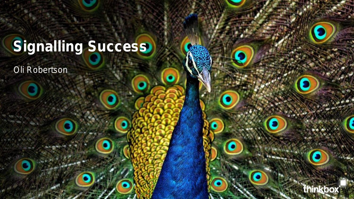 Thinkbox.pdf | DocDroid