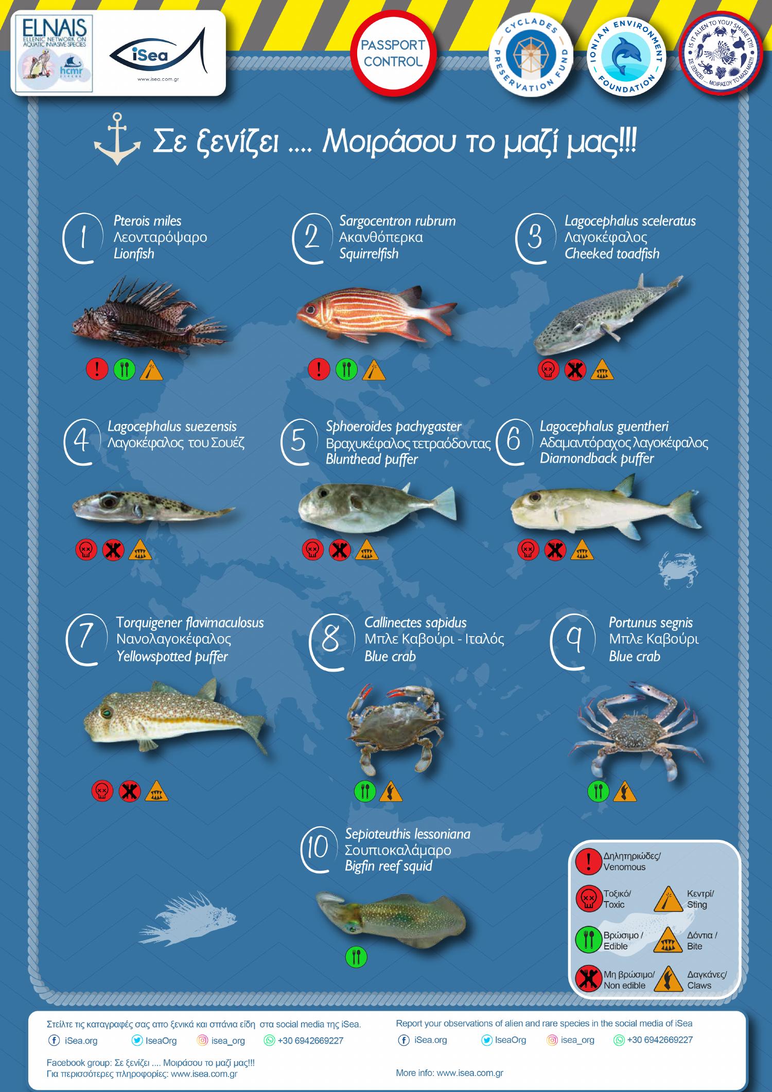 poster-1-Updated1.pdf | DocDroid