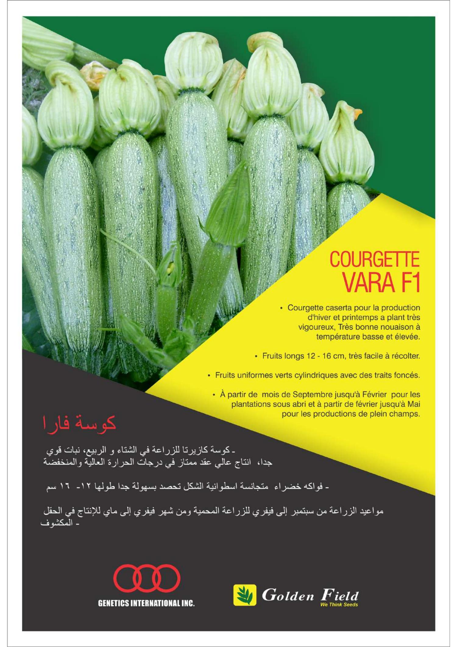 Vara F1.pdf | DocDroid