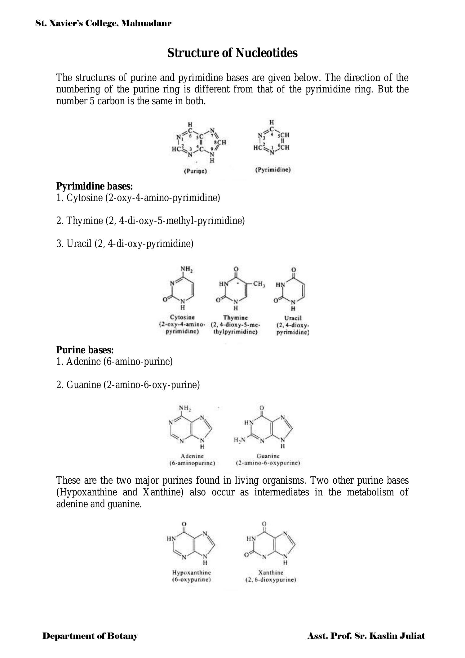 Structure and function of Nucleotides.pdf | DocDroid