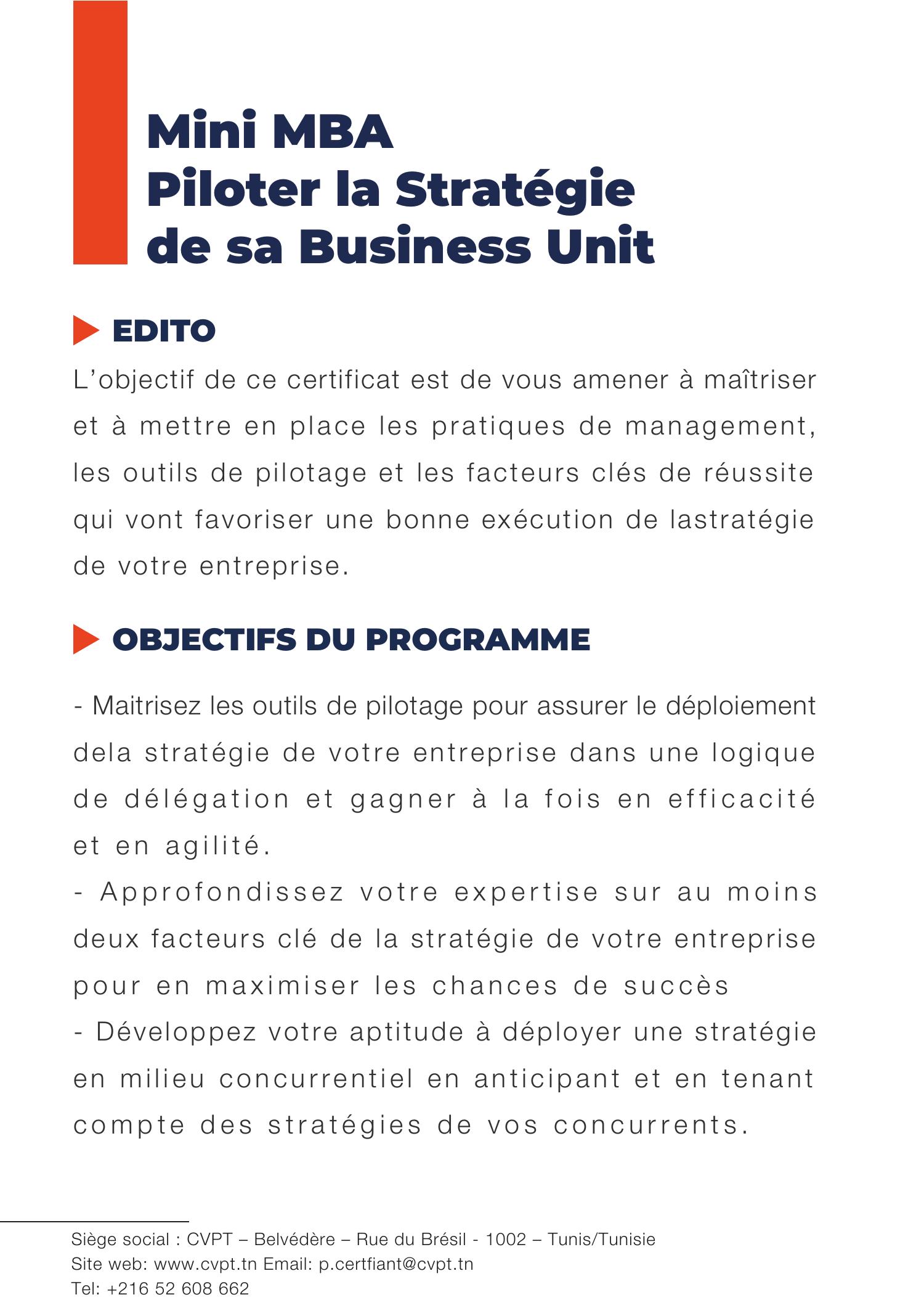Mini MBA Piloter la Stratégie de sa Business Unit.pdf | DocDroid