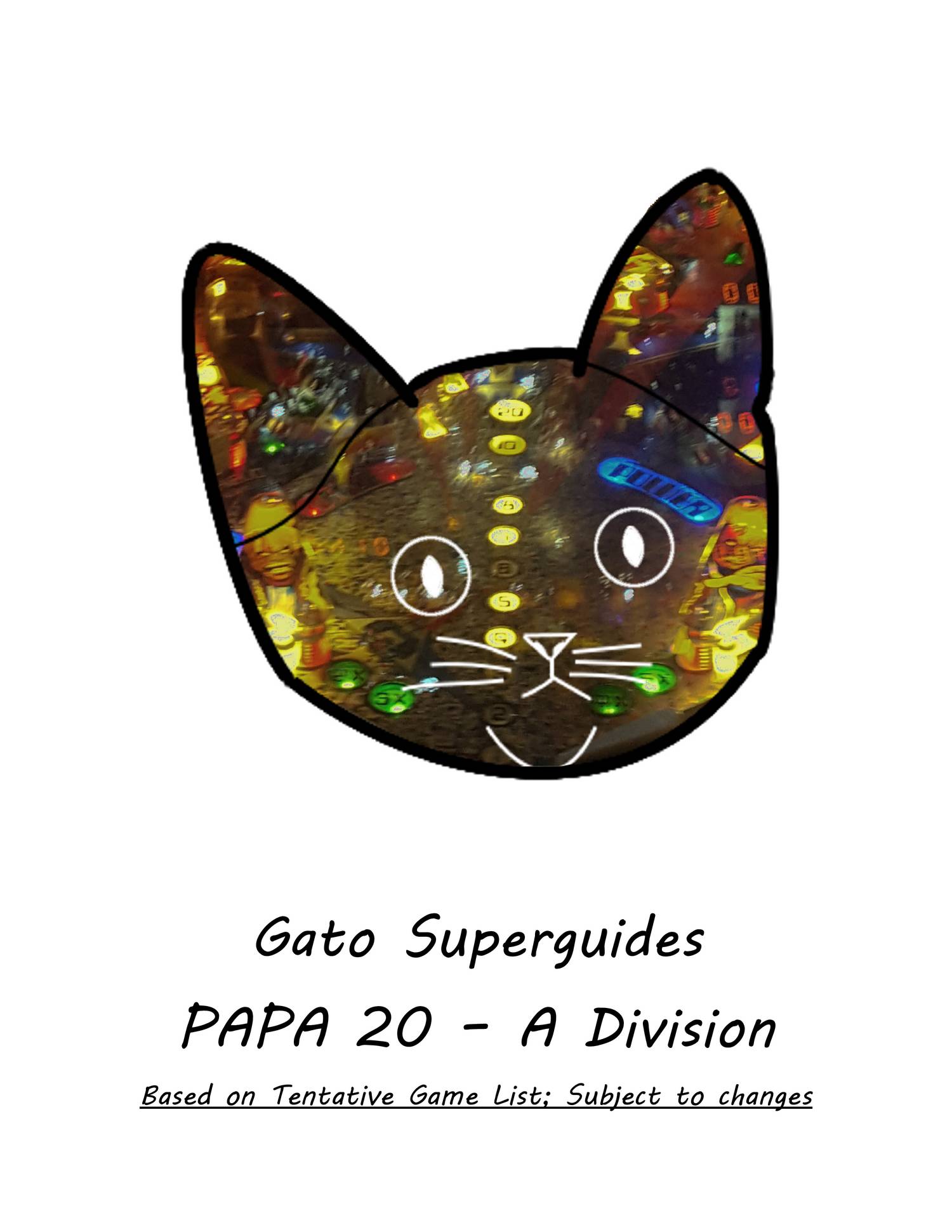 PAPA 20 A Guide - 4-3.pdf | DocDroid
