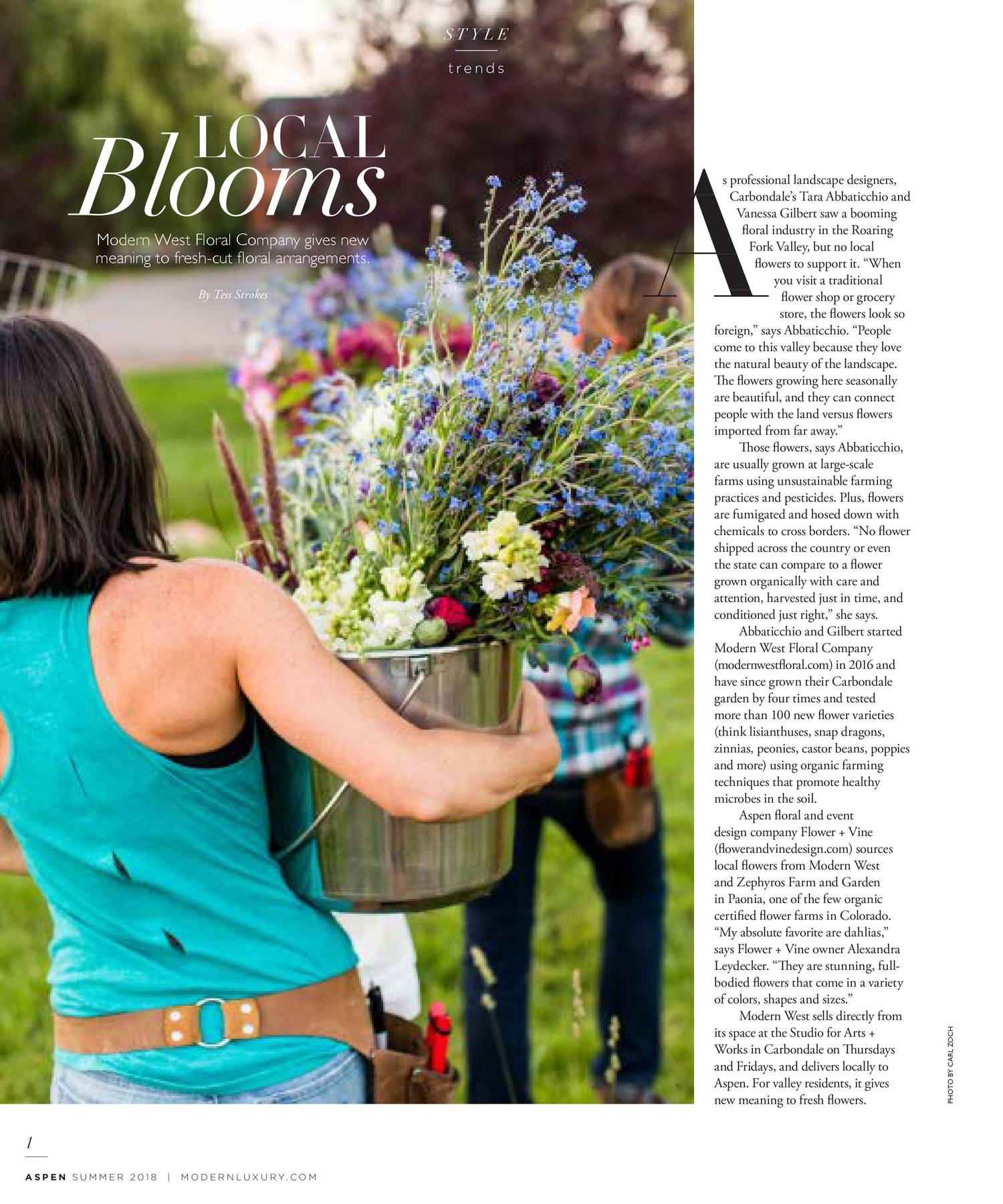 STL_Flowers.pdf | DocDroid