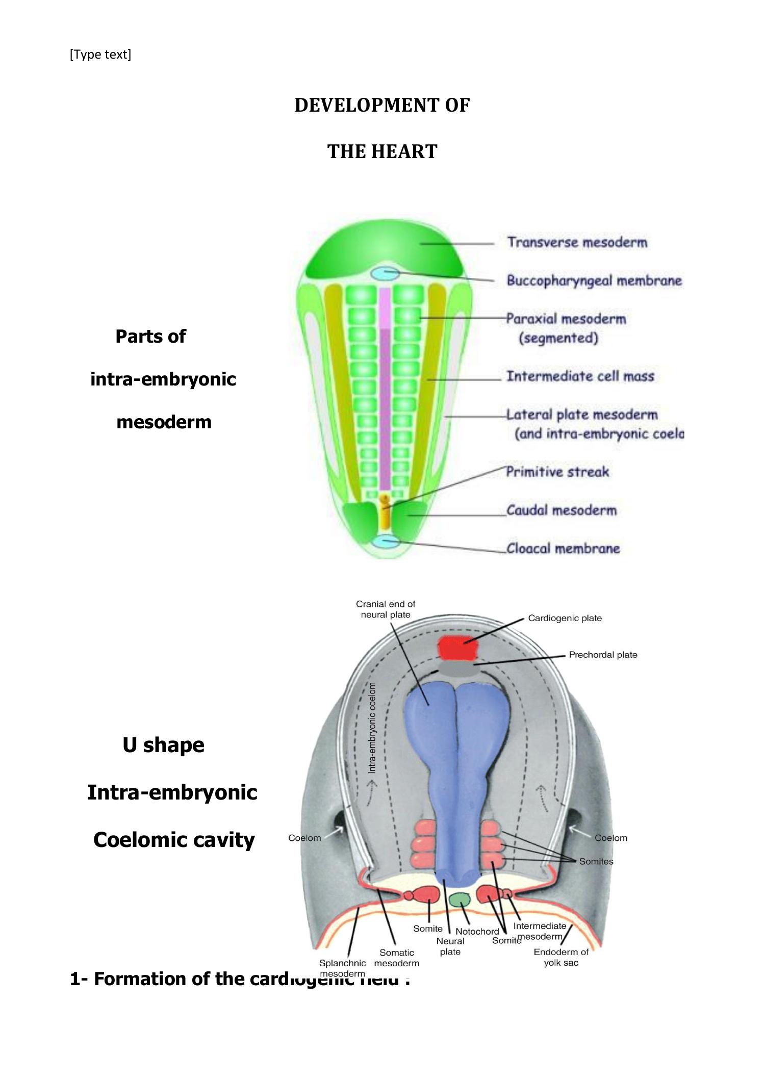Development of heart 2020.docx | DocDroid