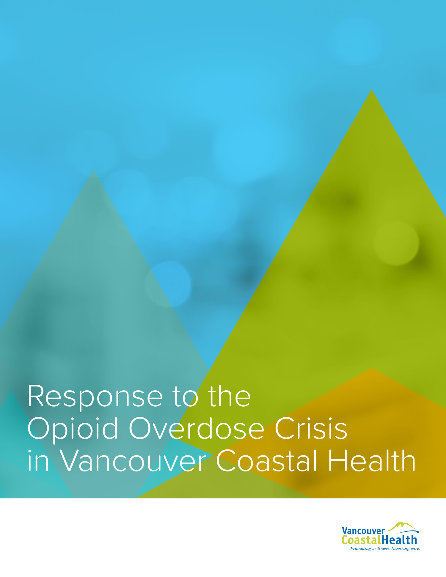 VCH CMHO Report 2018.pdf | DocDroid