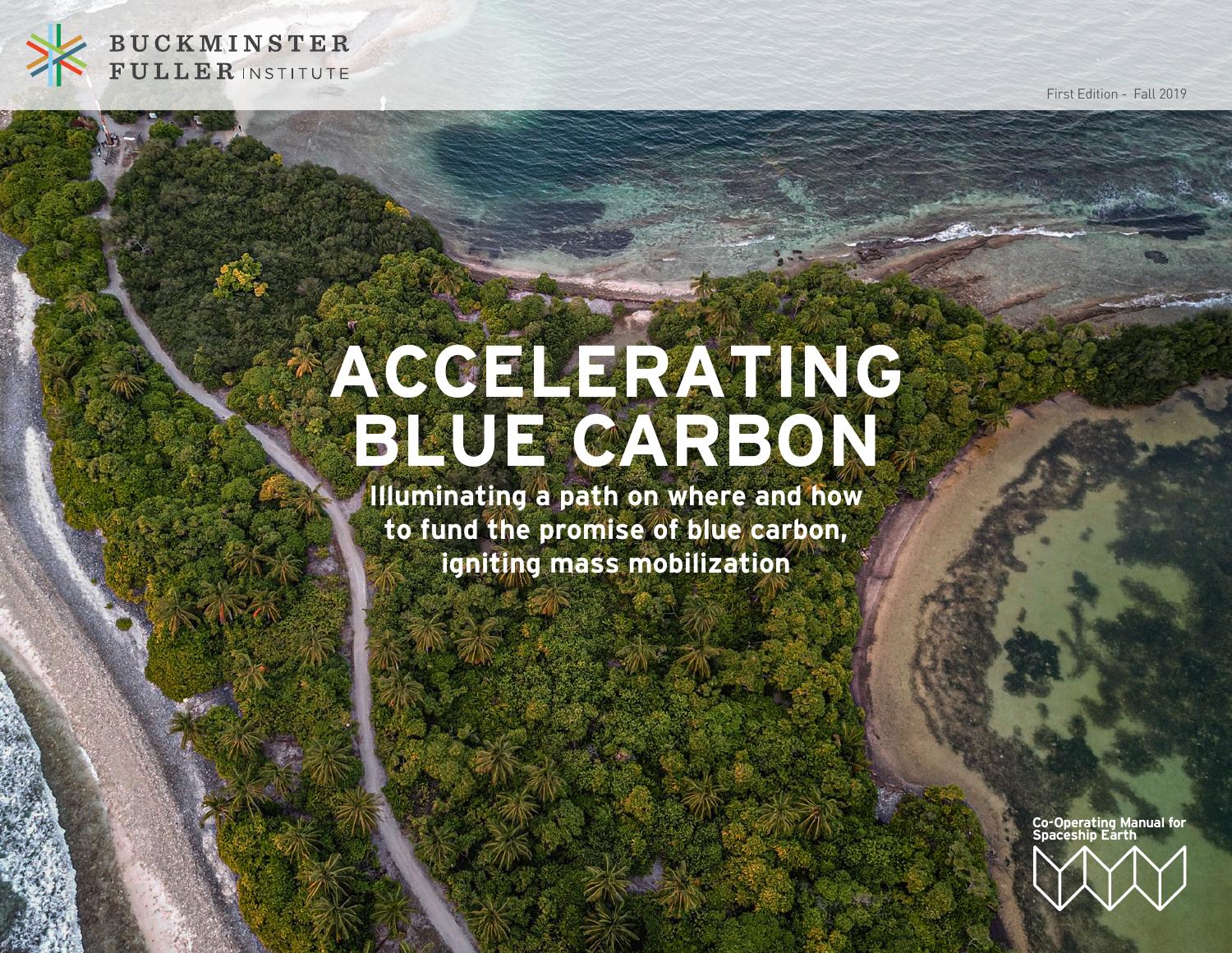 BFI BLUE CARBON REPORT_Final_Published Fall 2019.pdf | DocDroid