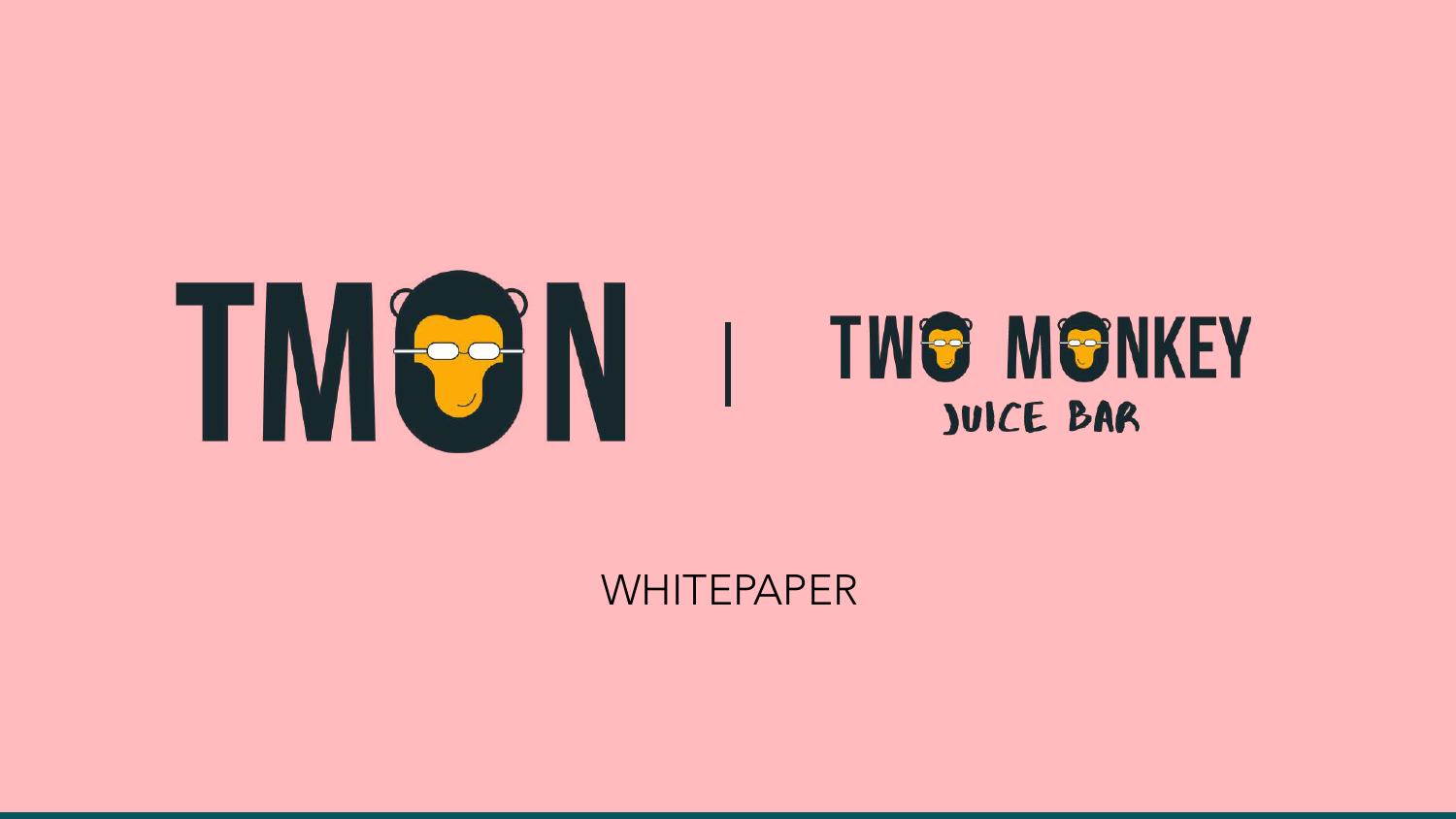 TMON Whitepaper F22_compressed.pdf | DocDroid