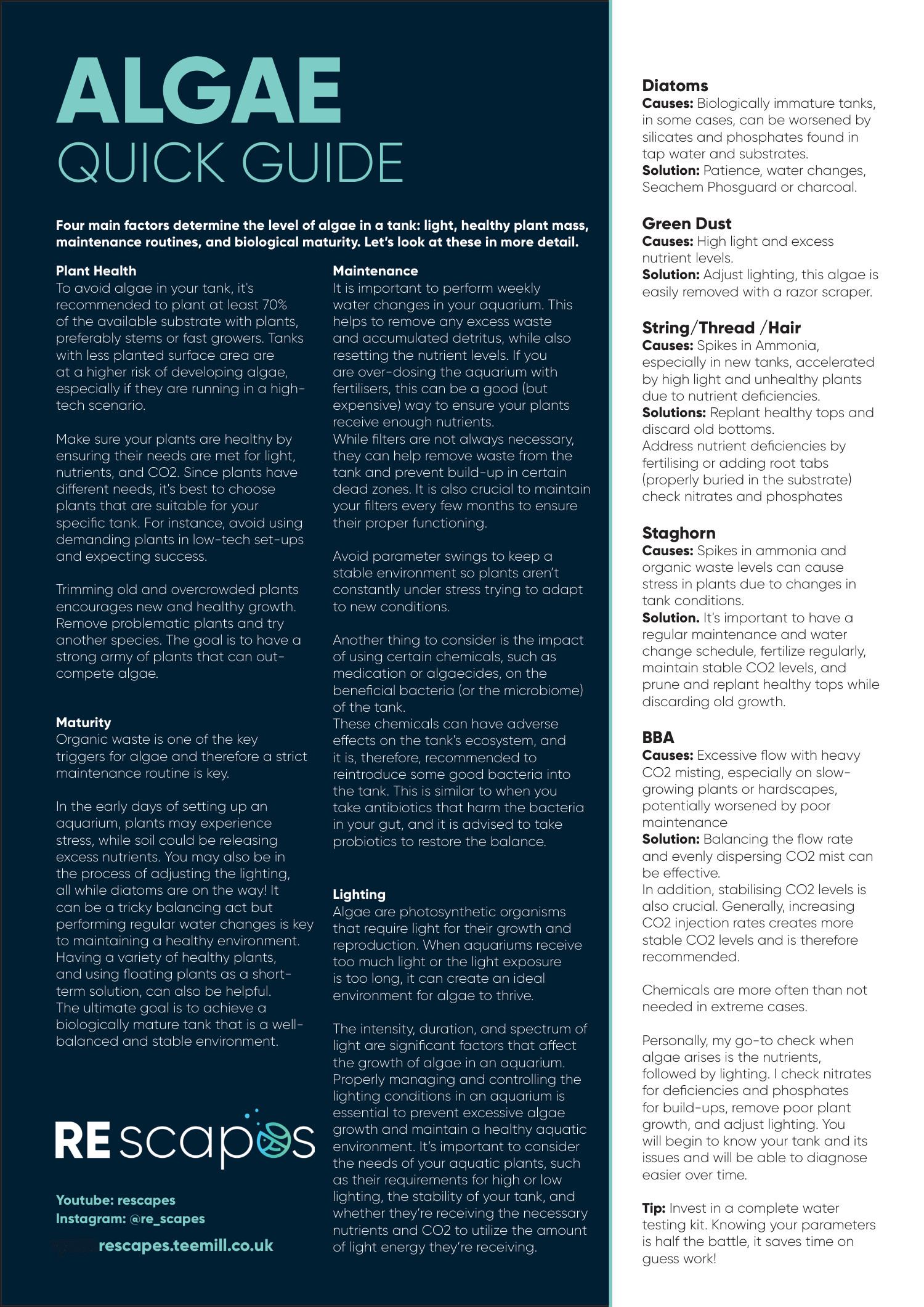 Algae guide .pdf | DocDroid