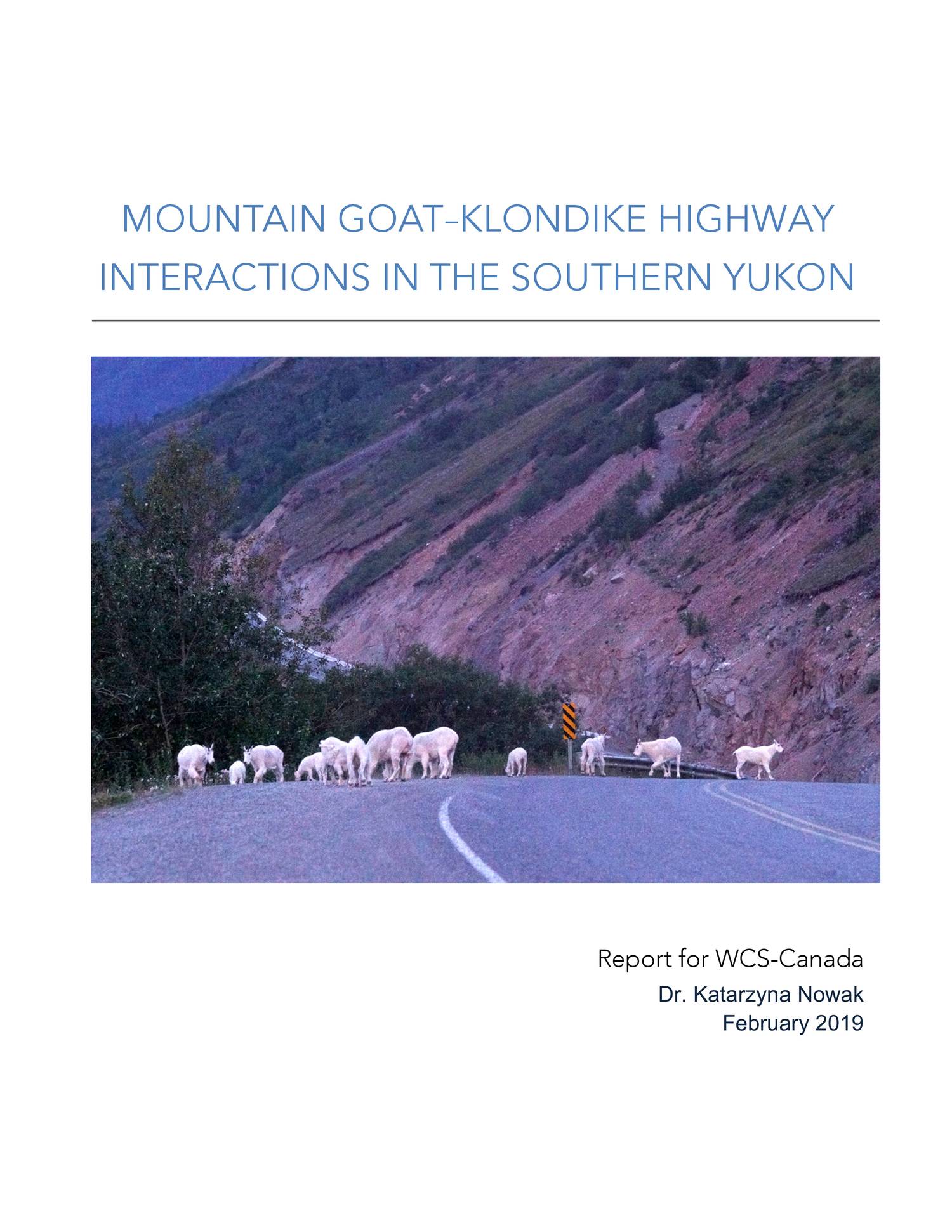 MountainGoats-KlondikeHighway_Report for WCS Canada_Feb. 19 2019.pdf ...