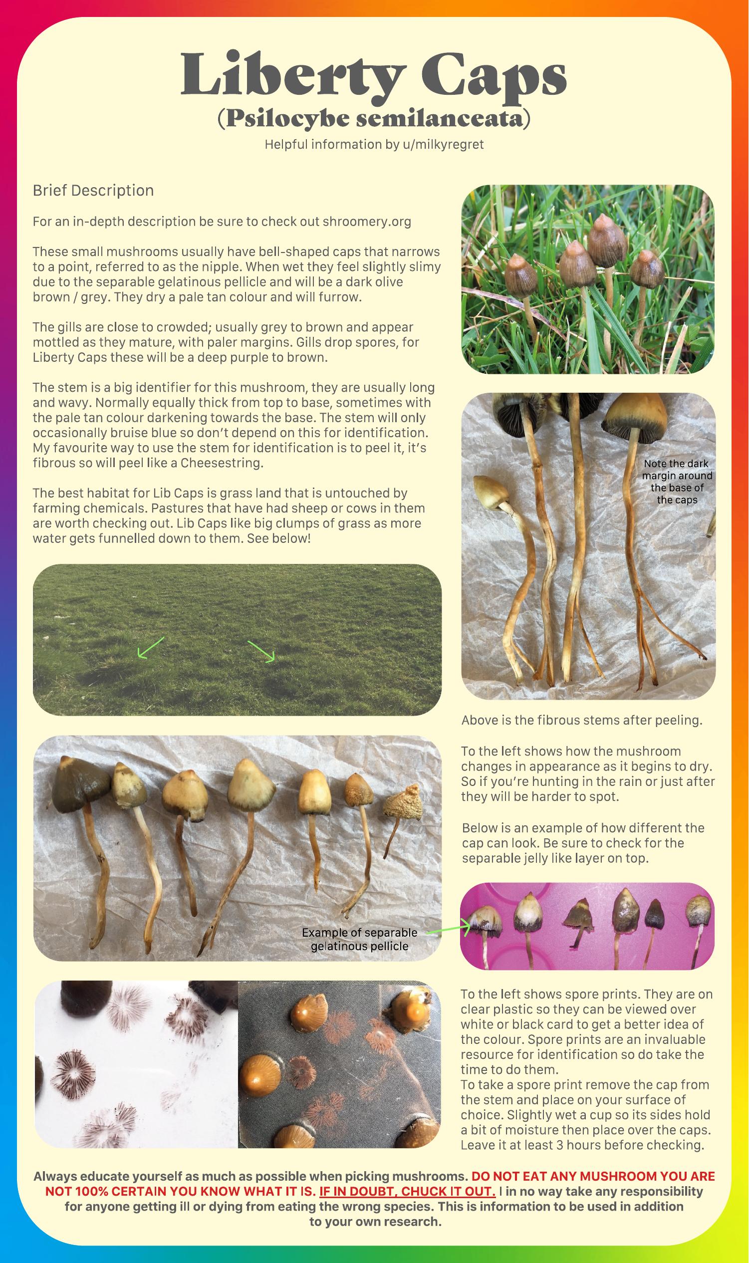 Liberty_Cap_info_sheet.pdf | DocDroid