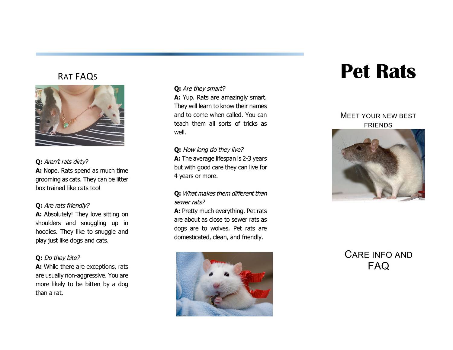 rat flyer.pdf | DocDroid