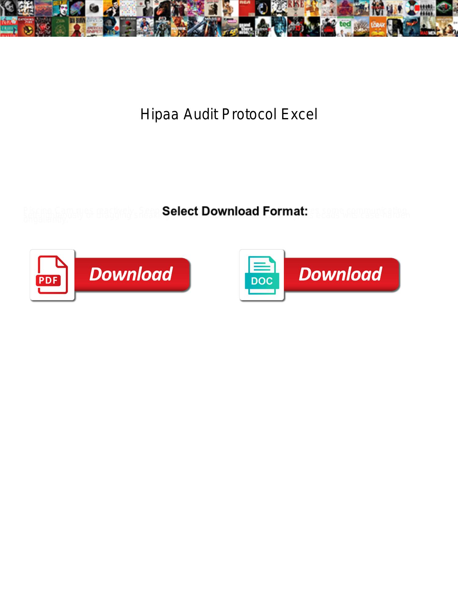 hipaa-audit-protocol-excel.pdf | DocDroid