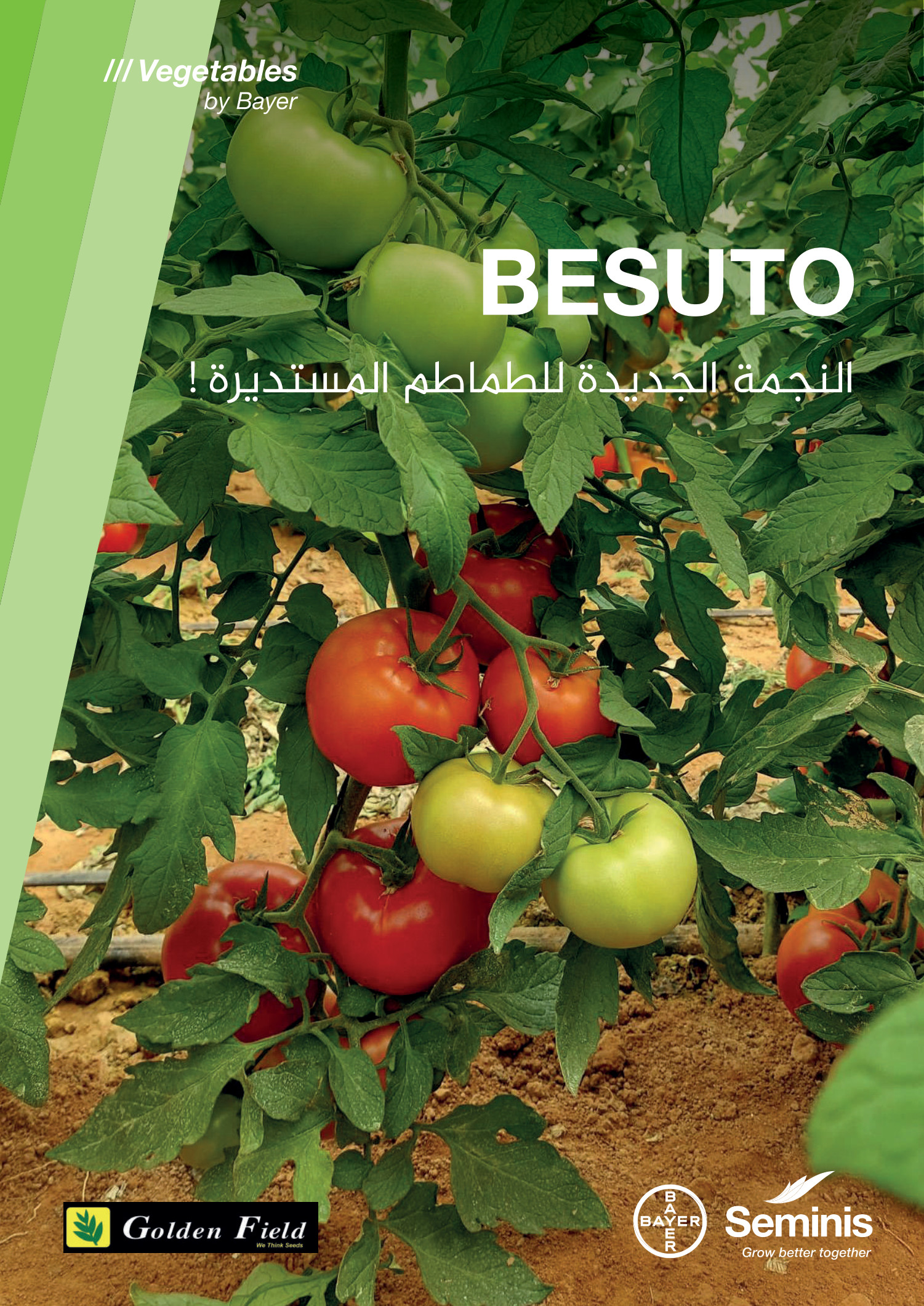 BESUTO.pdf | DocDroid